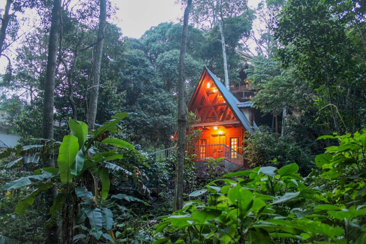 Forestvalley Duplex Wood House 𝗕𝗢𝗢𝗞 Coorg Tree house