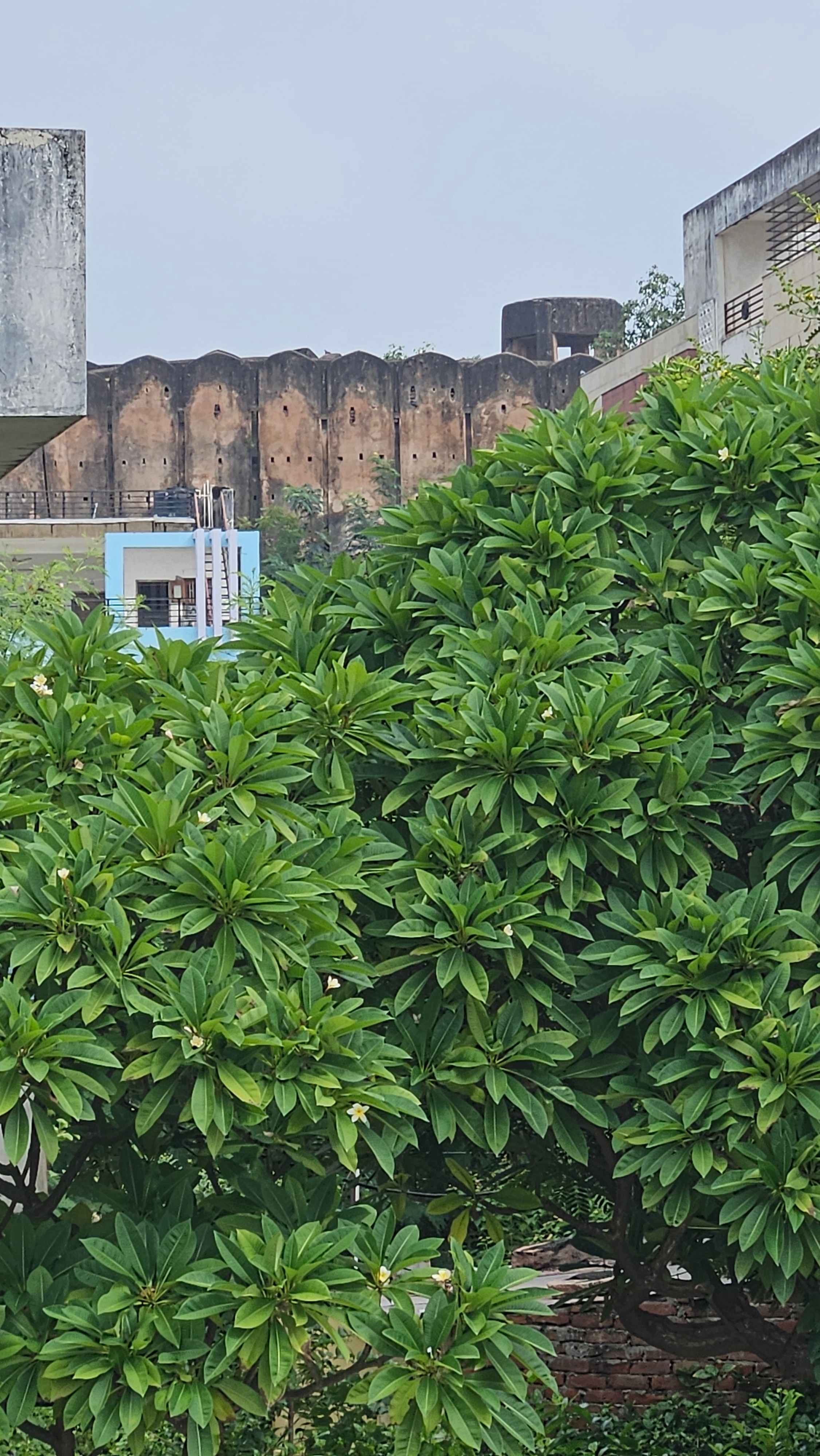 Gullu Kuku Homestay 𝗕𝗢𝗢𝗞 Jaipur Homestay