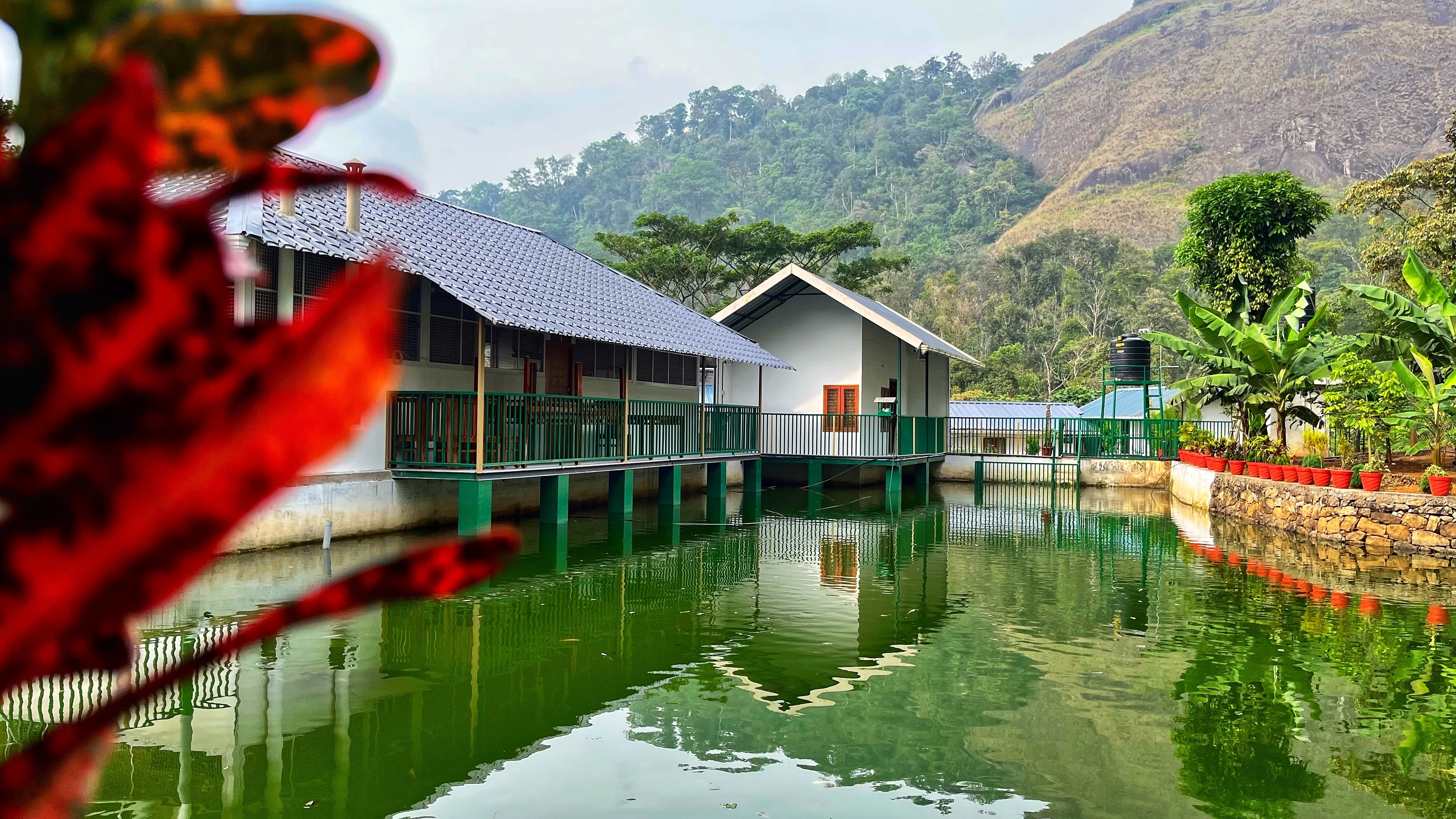 Nedumparayil Farm Stay 𝗕𝗢𝗢𝗞 Kattappana Homestay