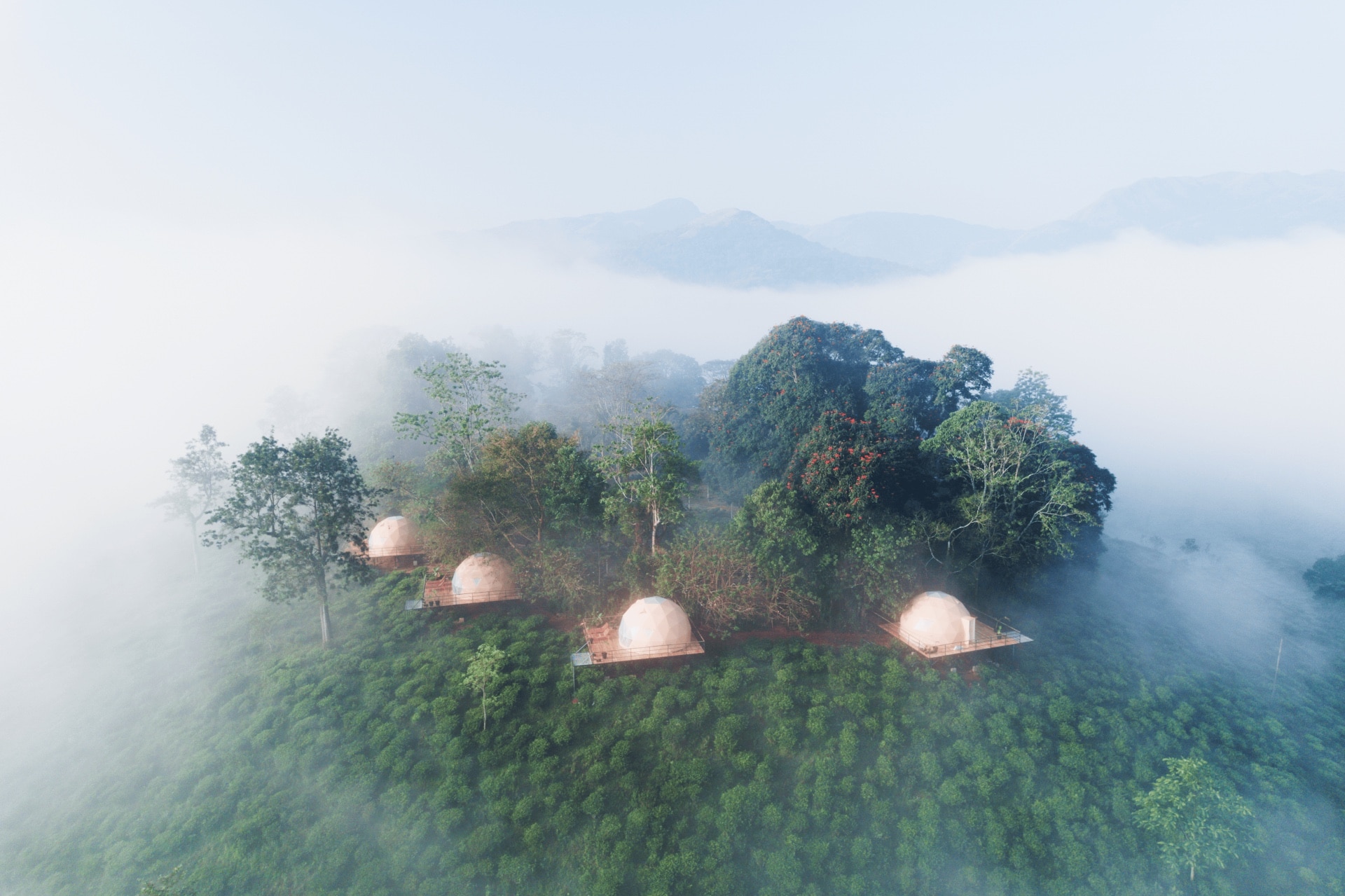Hipnoetic Stays | Geodesic Domes & Tea Planters Bungalow 𝗕𝗢𝗢𝗞 Wayanad Camp