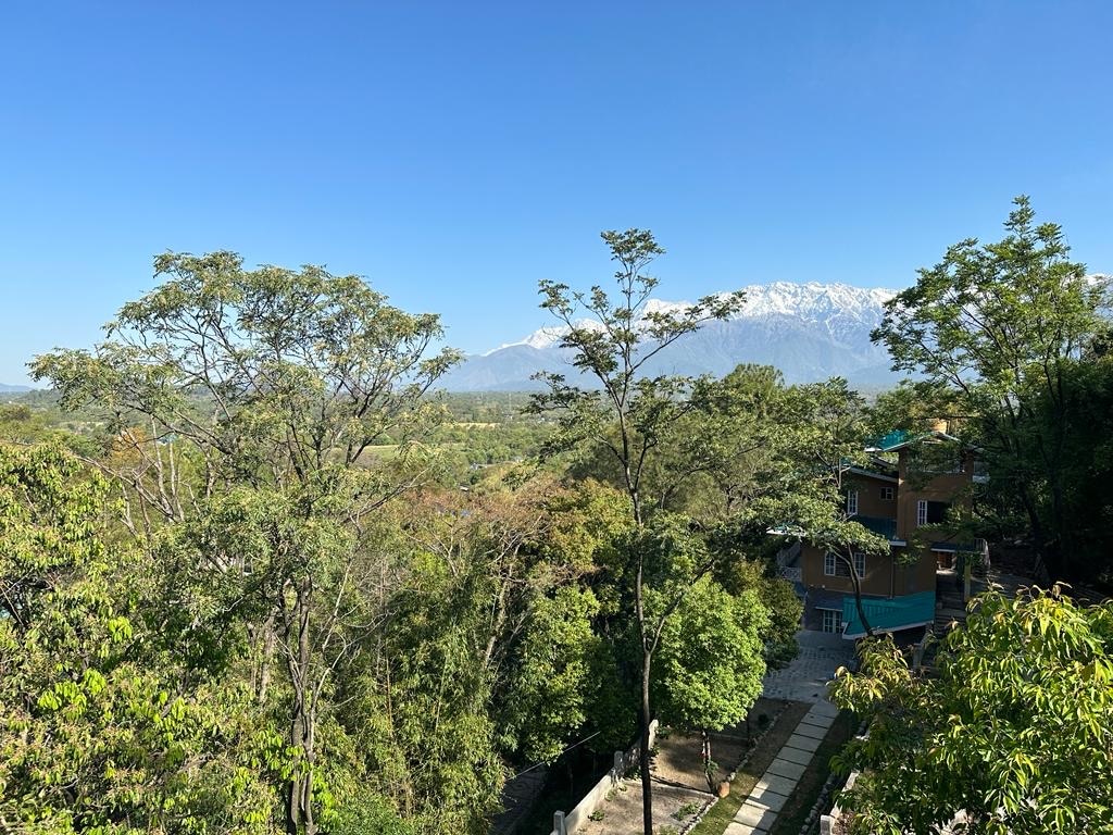 The Kut House Homestay Palampur - Reviews, Photos & Offer