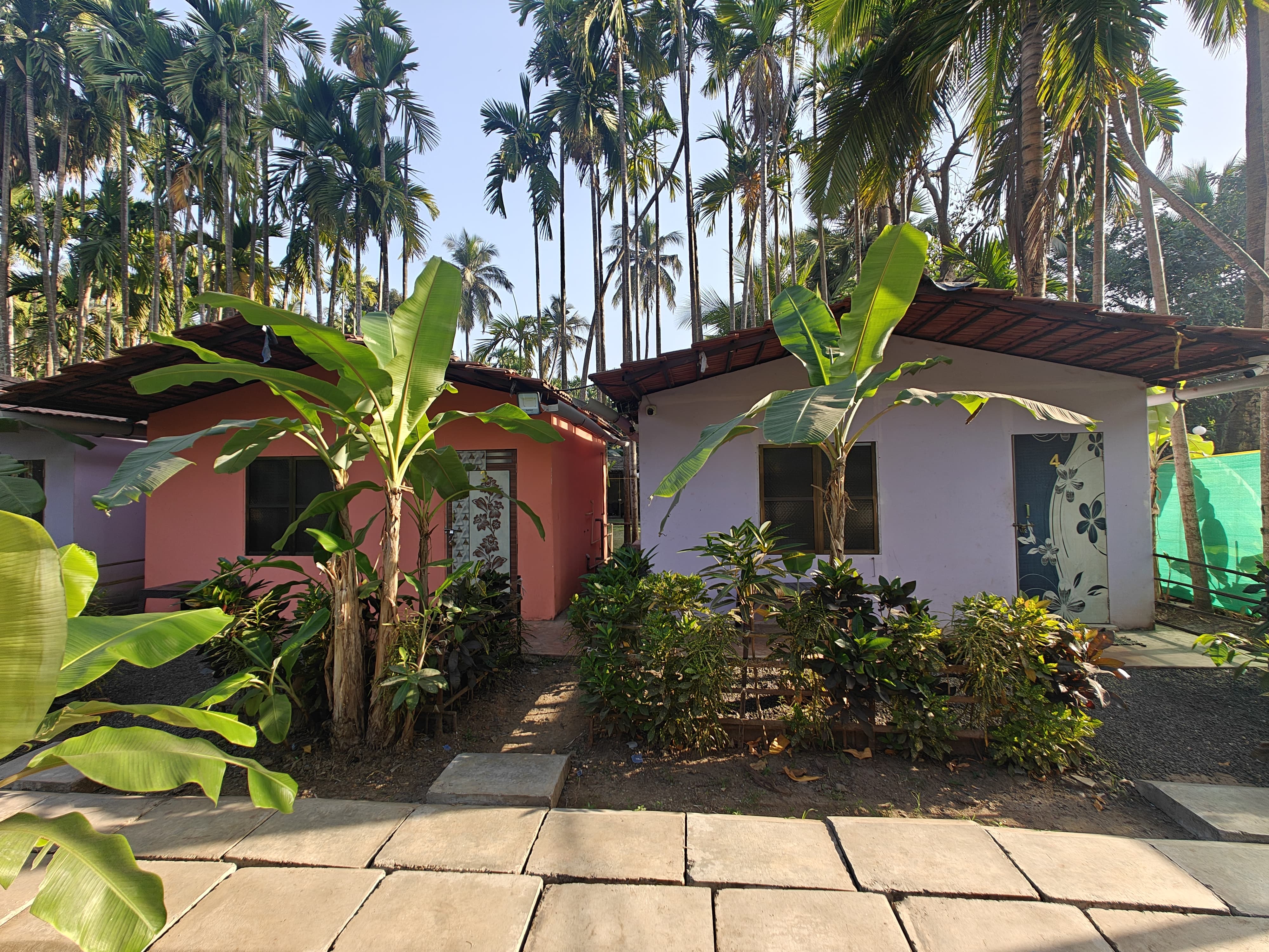 Photos of Baadal Pani The Beach Resort and Cottages - Cottage in Palghar