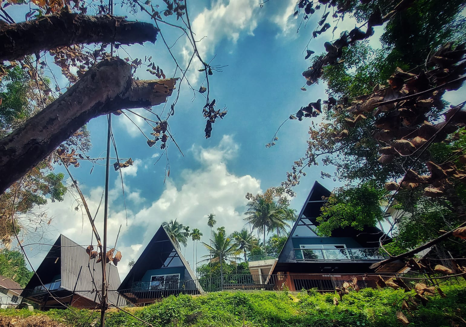 Elephant pub, River valley Huts Luxury Camp Munnar - Reviews, Photos ...