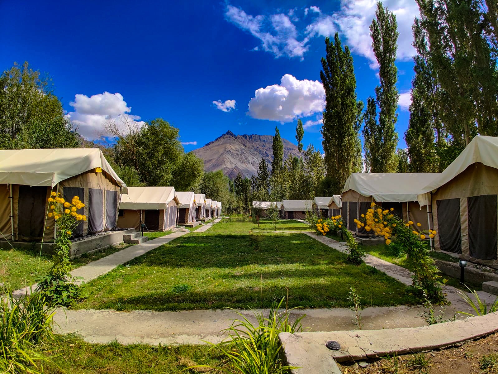 Mila Retreat Camp | Hill-view Rooms 𝗕𝗢𝗢𝗞 Nubra Valley Camp