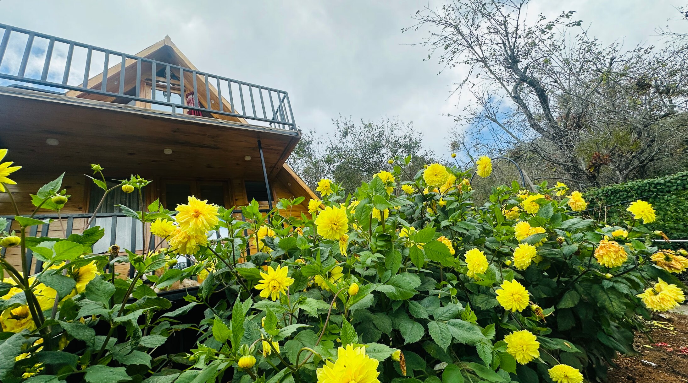 Amenities of Dreamy Wonders Resorts