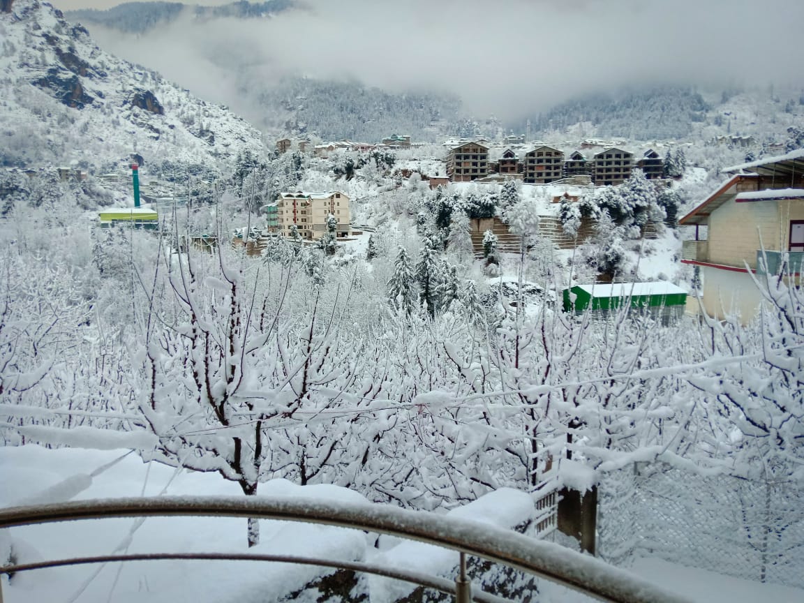 The Himalayan Paradise Manali - INR 169 OFF ( ̶9̶9̶9̶ ) 𝐏𝐡𝐨𝐭𝐨𝐬 & 𝐑𝐞𝐯𝐢𝐞𝐰𝐬