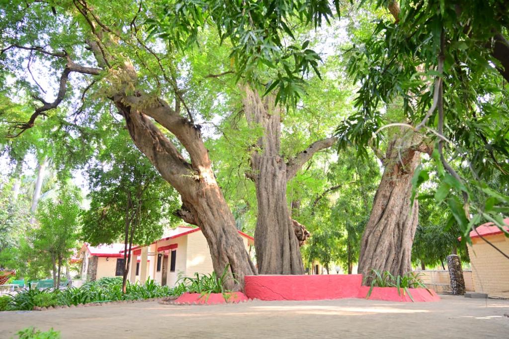 Leopard Lair 𝗕𝗢𝗢𝗞 Falna Villa