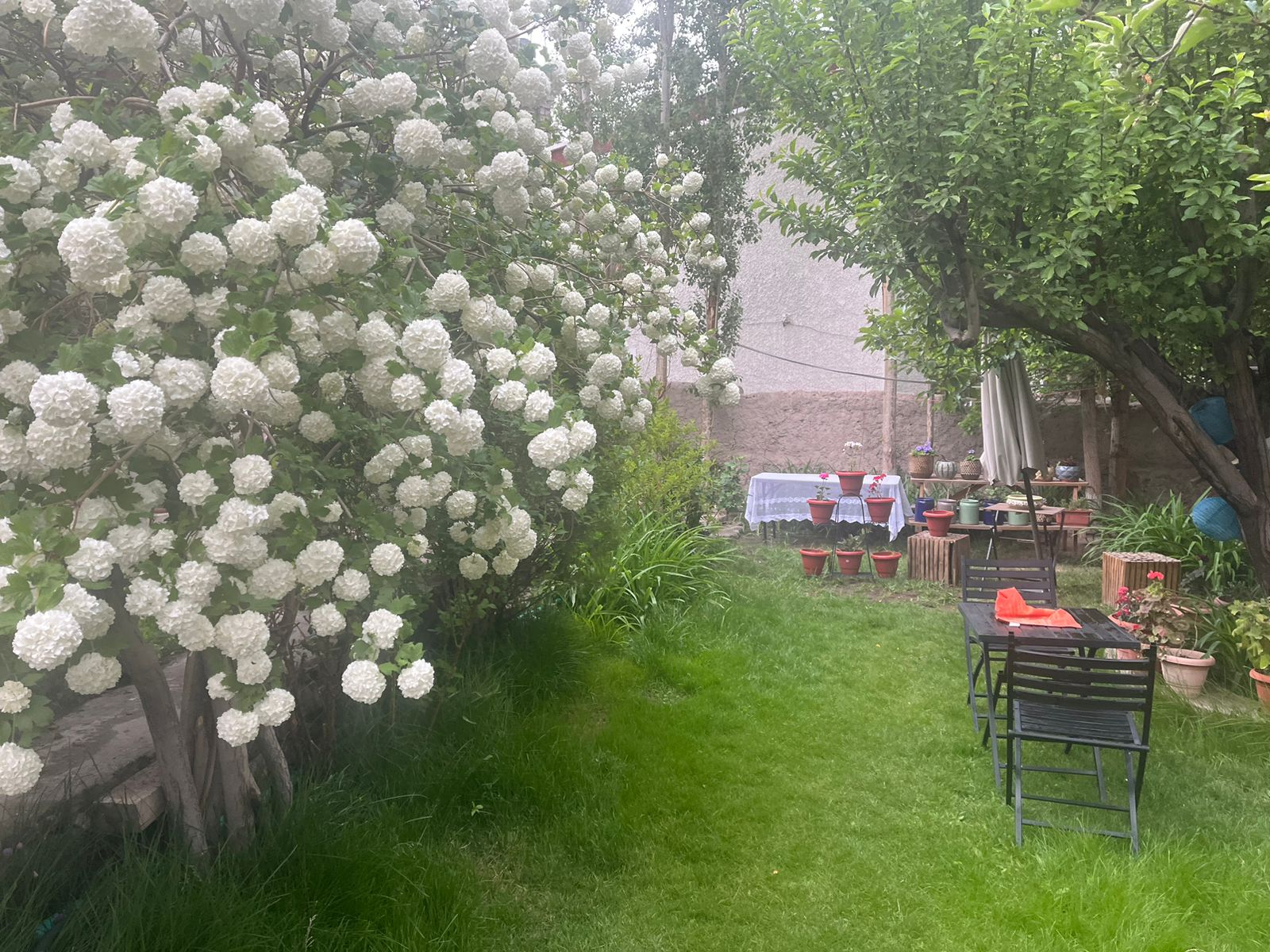 Warila Guest House 𝗕𝗢𝗢𝗞 Leh Homestay