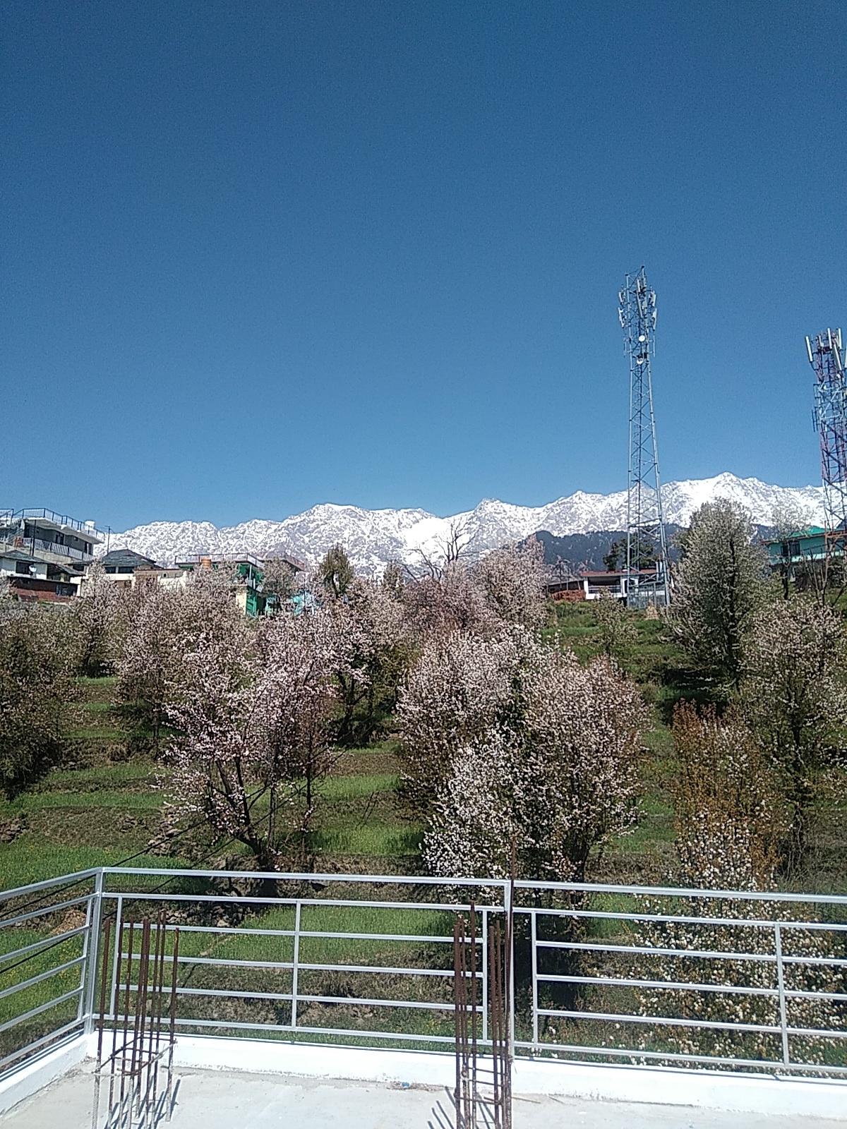 TranquilTrails Home Stay Naddi 𝗕𝗢𝗢𝗞 Dharamshala Homestay