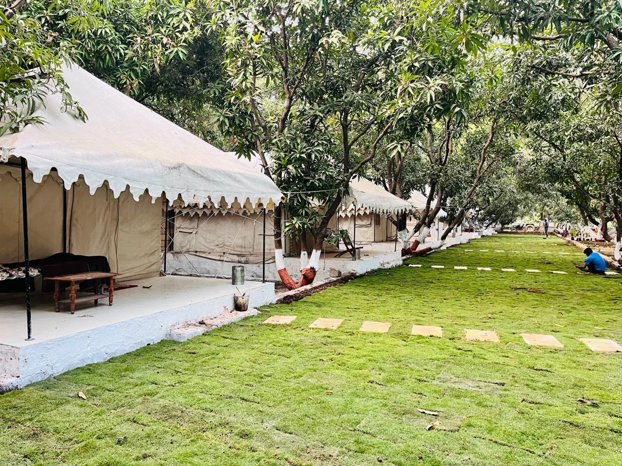 Gir Orchid Resort Sasan Gir - Reviews, Photos & Offer