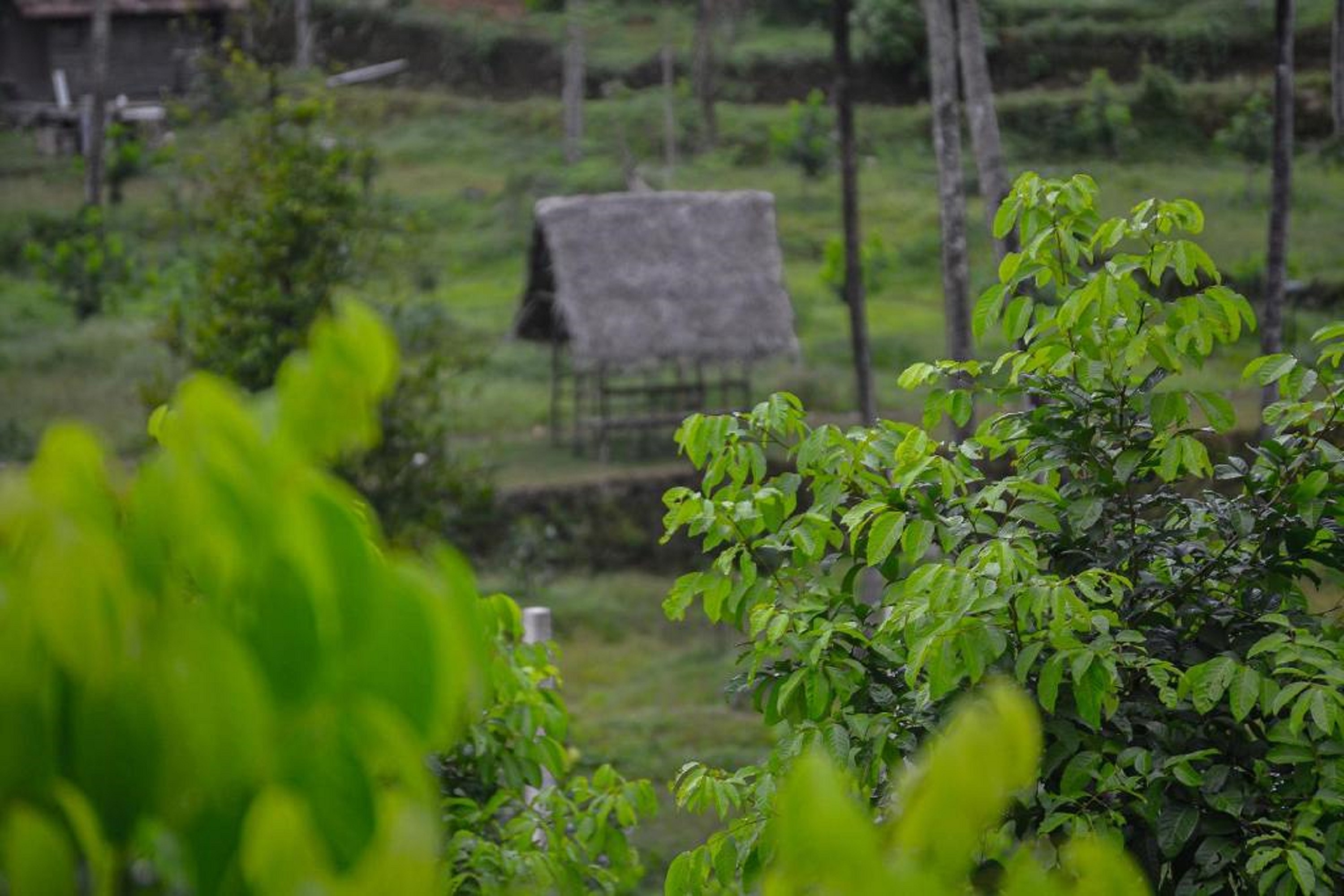 In To The Roots Farm and Resorts 𝗕𝗢𝗢𝗞 Kothamangalam Resort