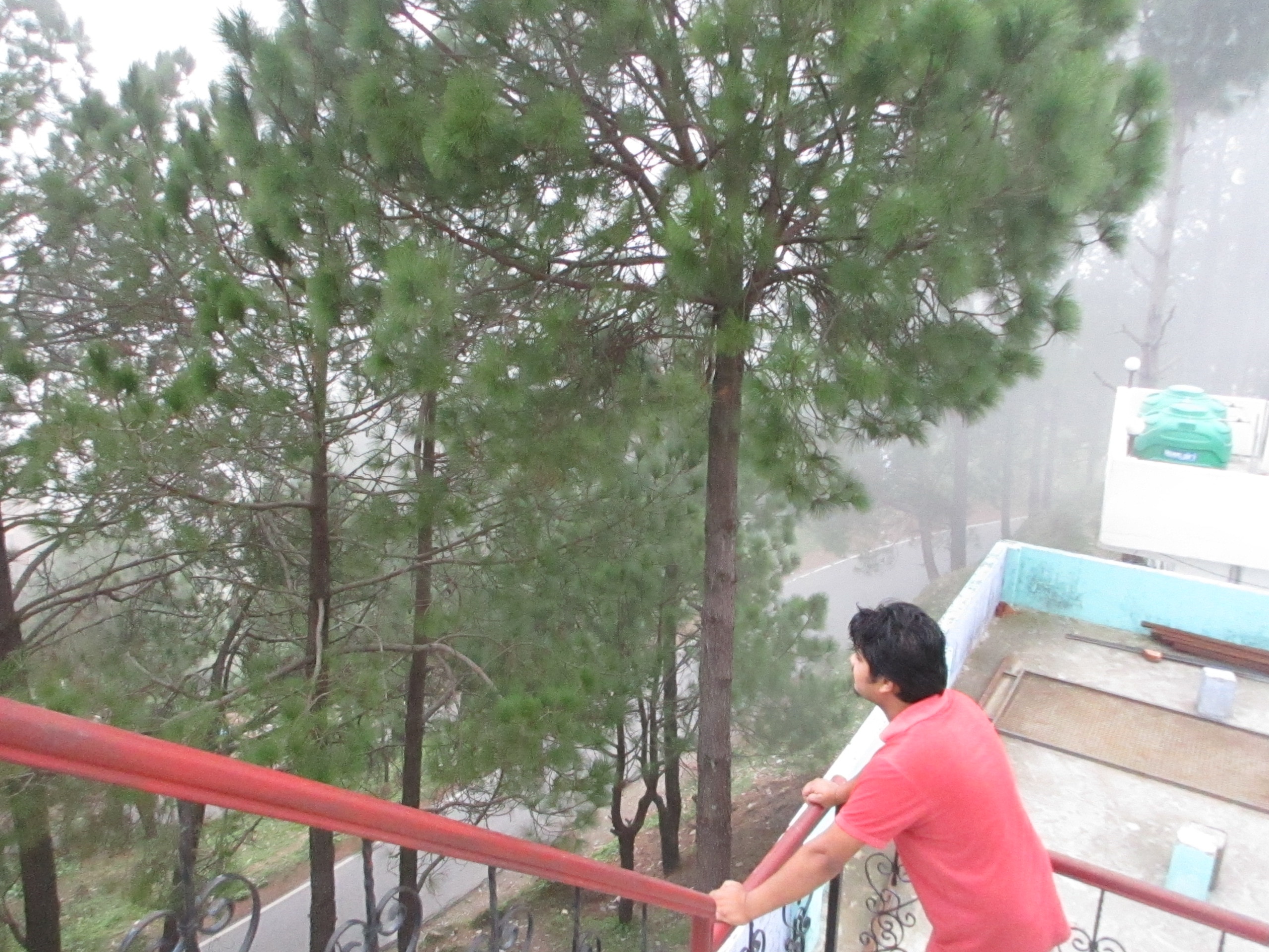 Moonlight Homestays | Rooms & Caretaker 𝗕𝗢𝗢𝗞 Lansdowne Homestay