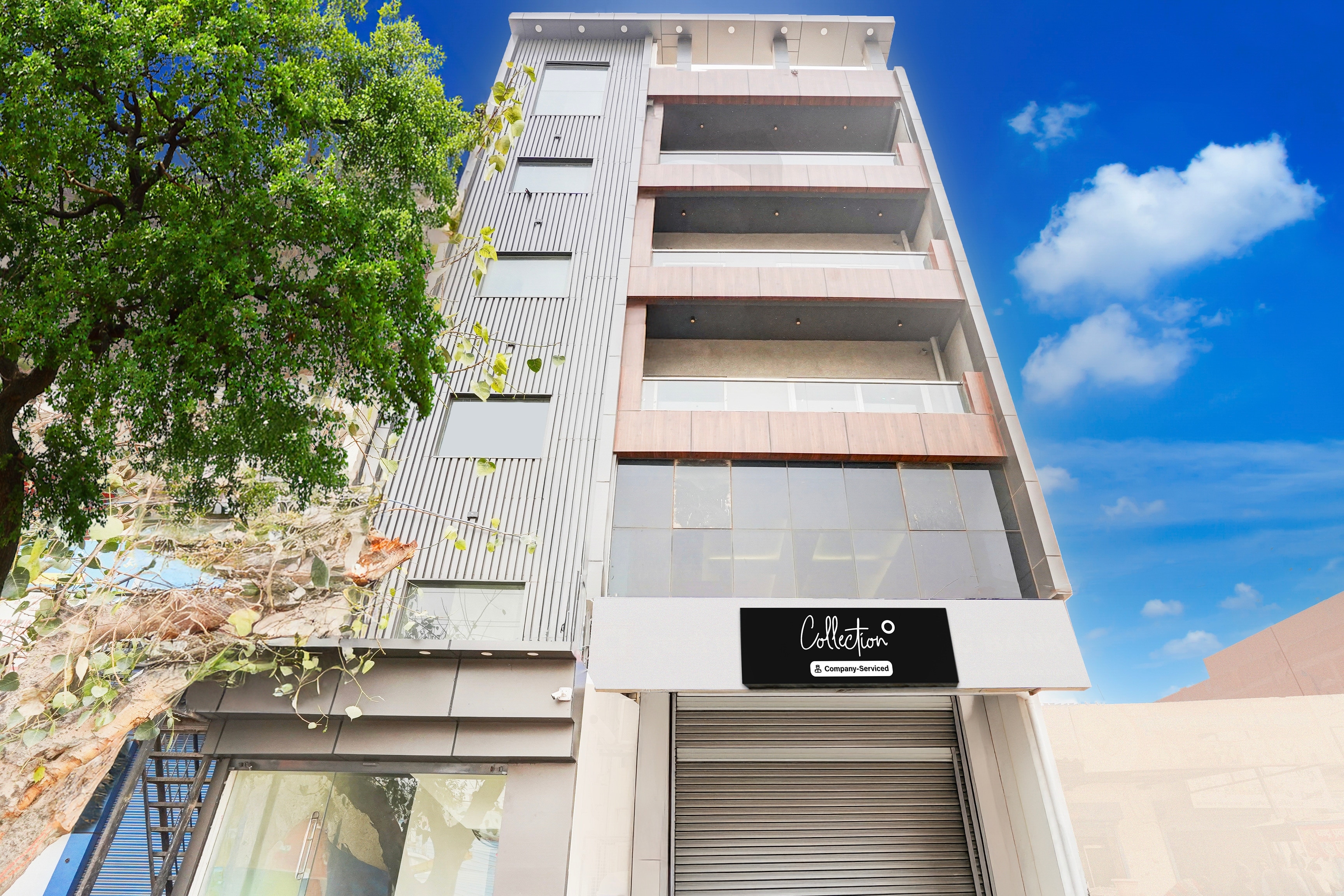 Collection O Haldoni Mod Greater Noida Hotel Greater Noida - Reviews ...