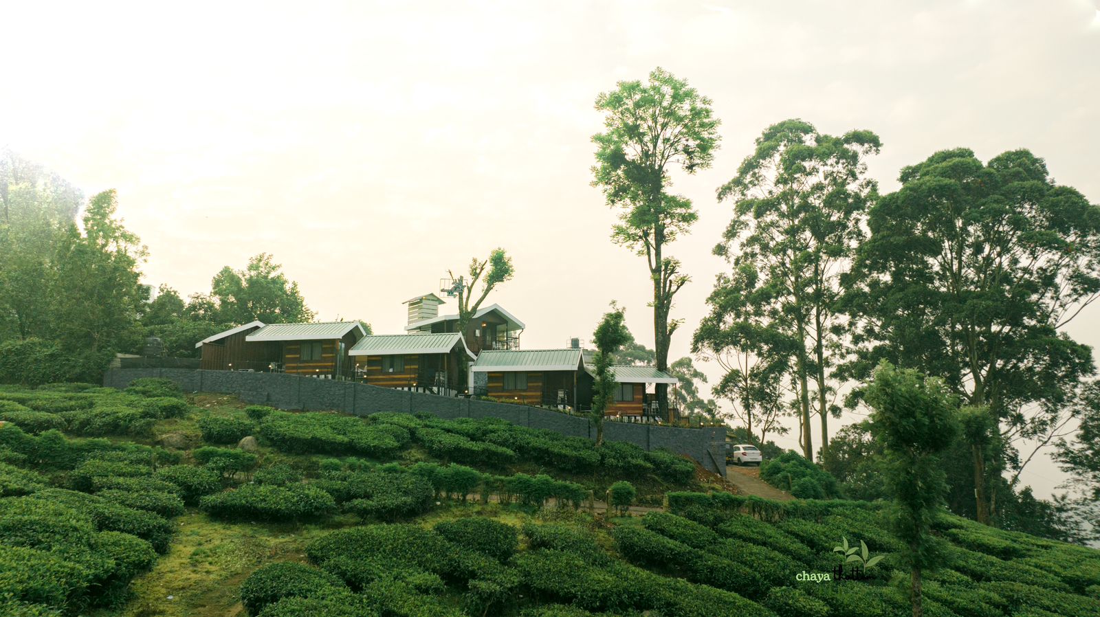 Chayathottam Holidays Munnar 𝗕𝗢𝗢𝗞 Munnar Cottage