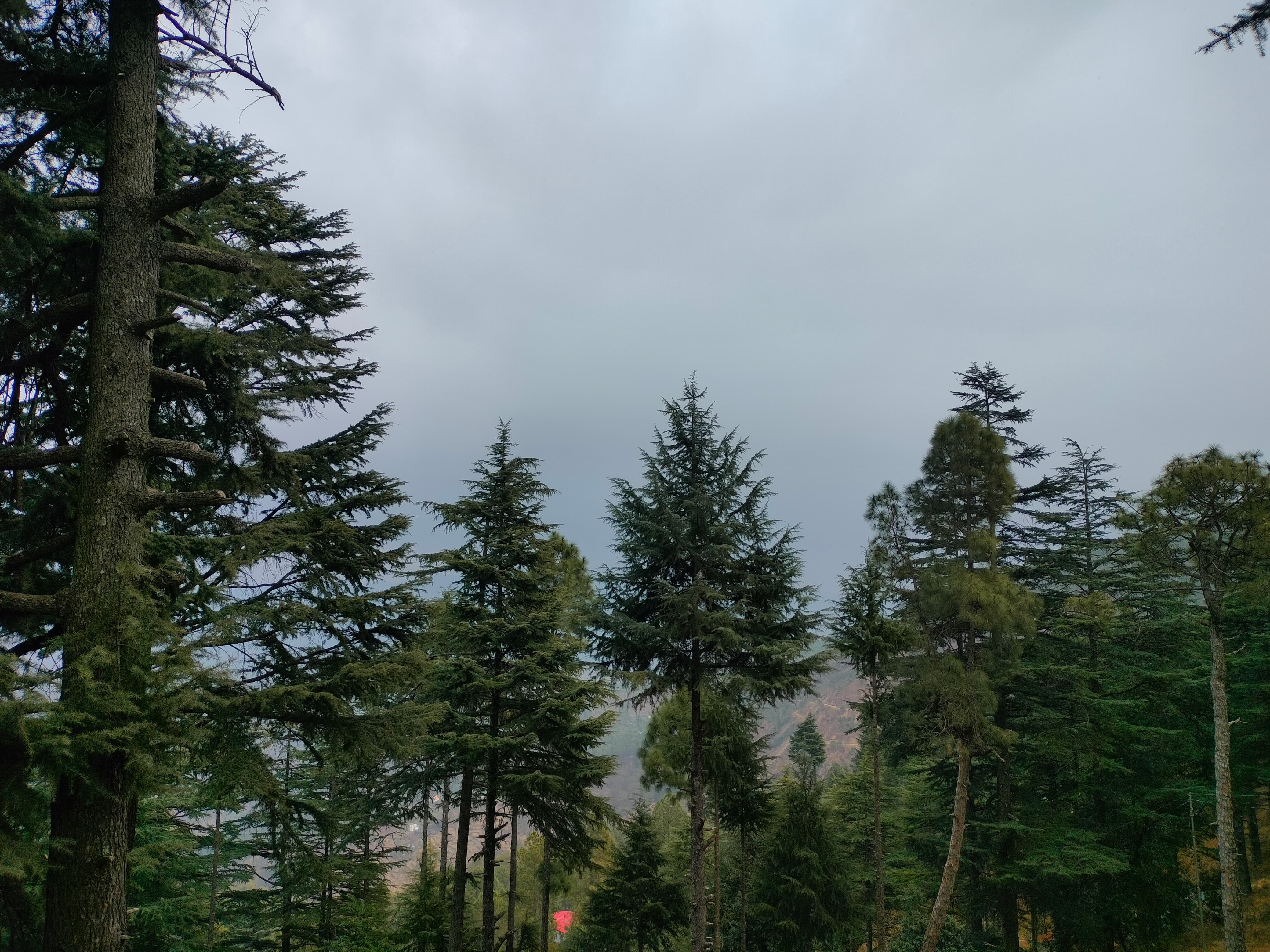 The Alpine Vista 𝗕𝗢𝗢𝗞 Almora Resort