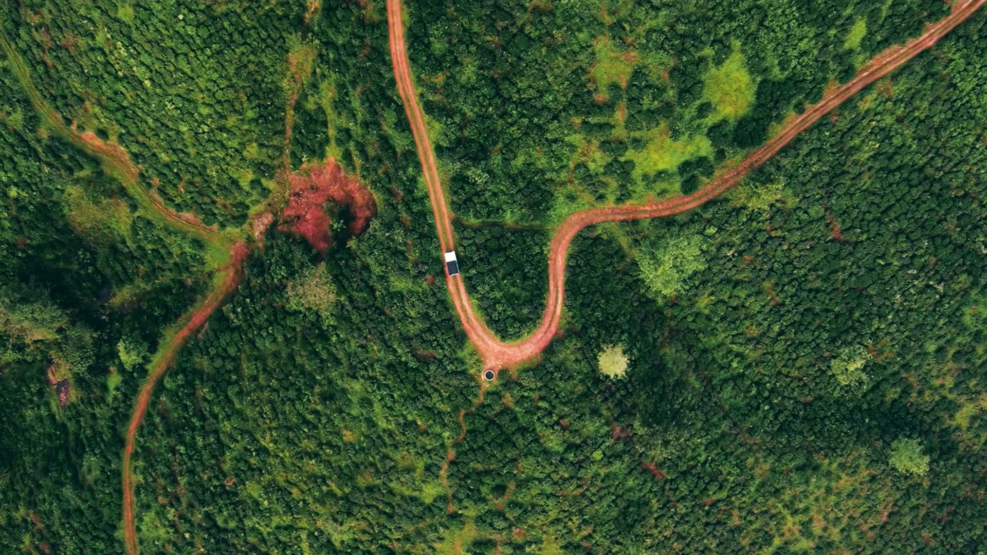 Mount Forest 900 kandi camping 𝗕𝗢𝗢𝗞 Wayanad Camp