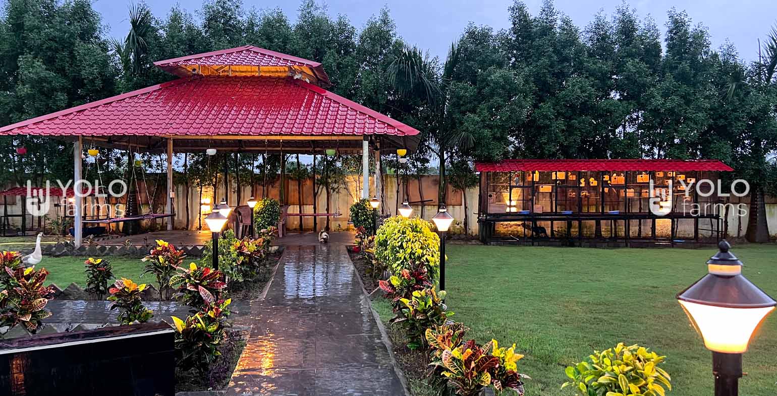 YOLOFarm 555 𝗕𝗢𝗢𝗞 Olpad Farm House