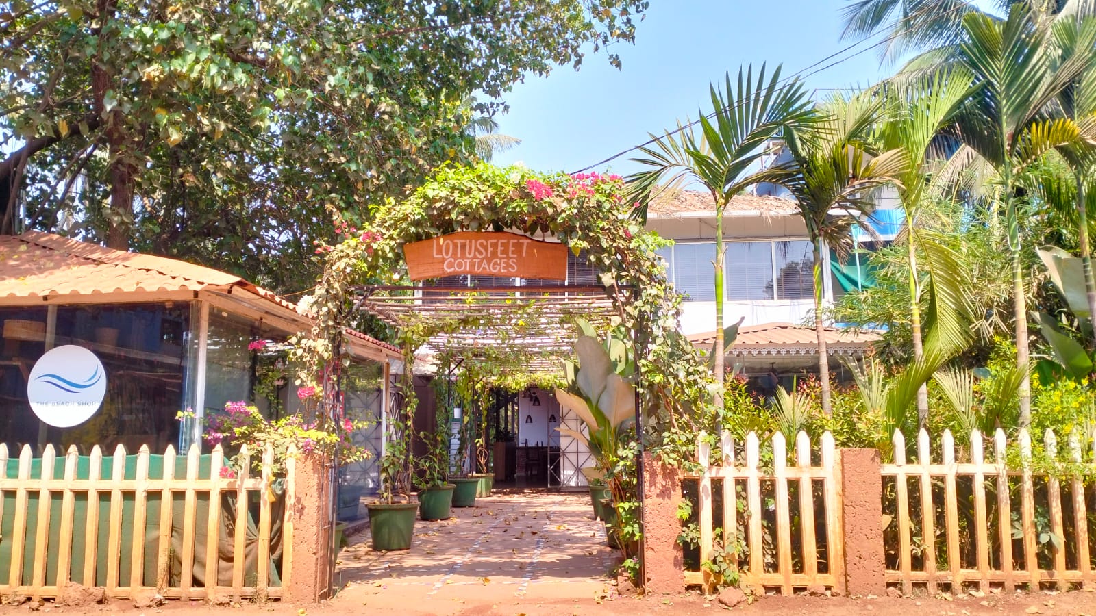 Photos of Lotus Feet Cottages, 100 meters odd from Morjim Beach ...