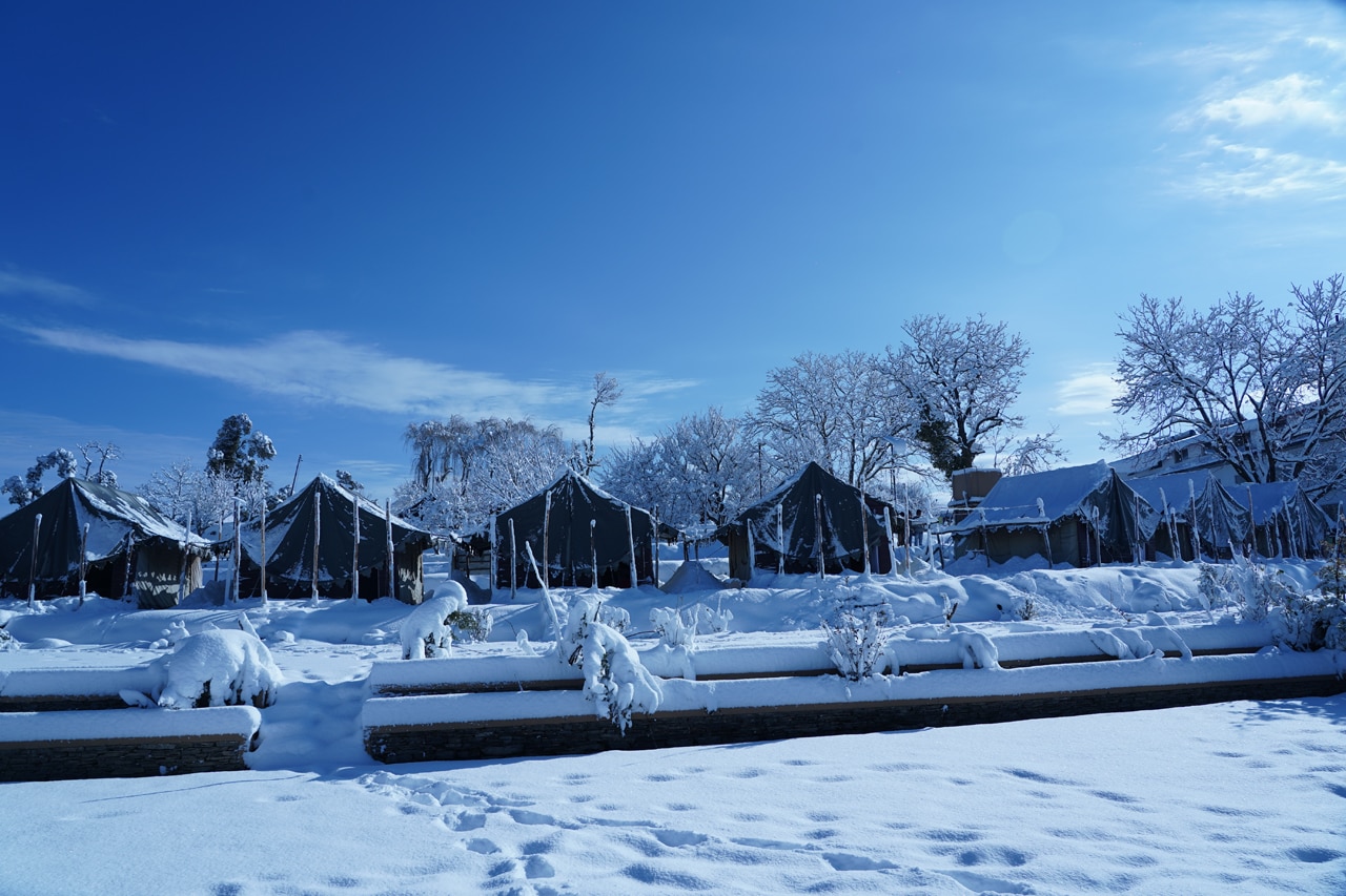 Jungle Liv inn Camp Site 𝗕𝗢𝗢𝗞 Chail Camp