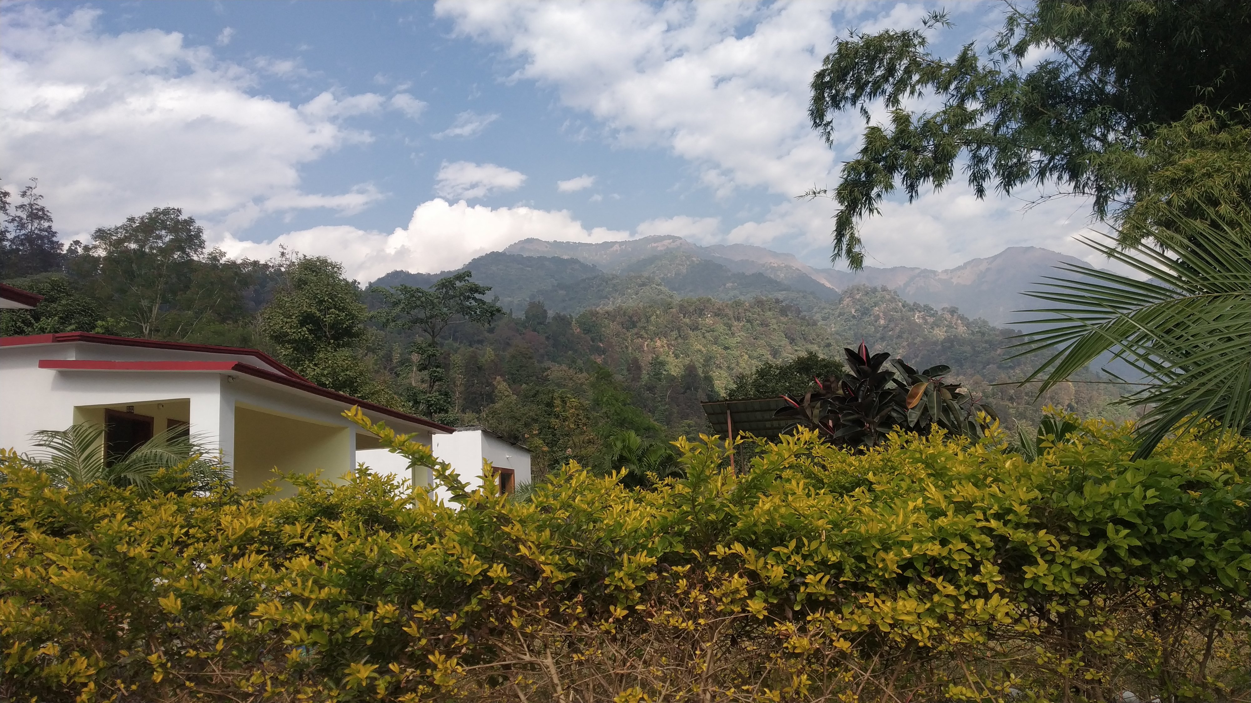 Akshit Cafe & Resorts Jim Corbett (Ramnagar) - Reviews, Photos & Offer