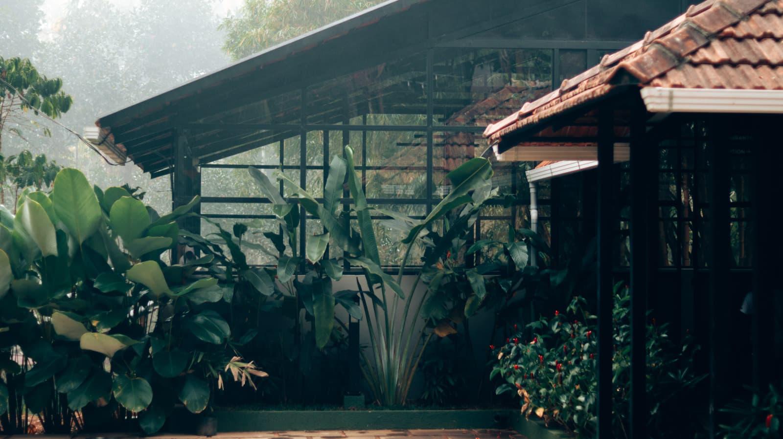 Icon Riverside Resort Wayanad - Reviews, Photos & Offer