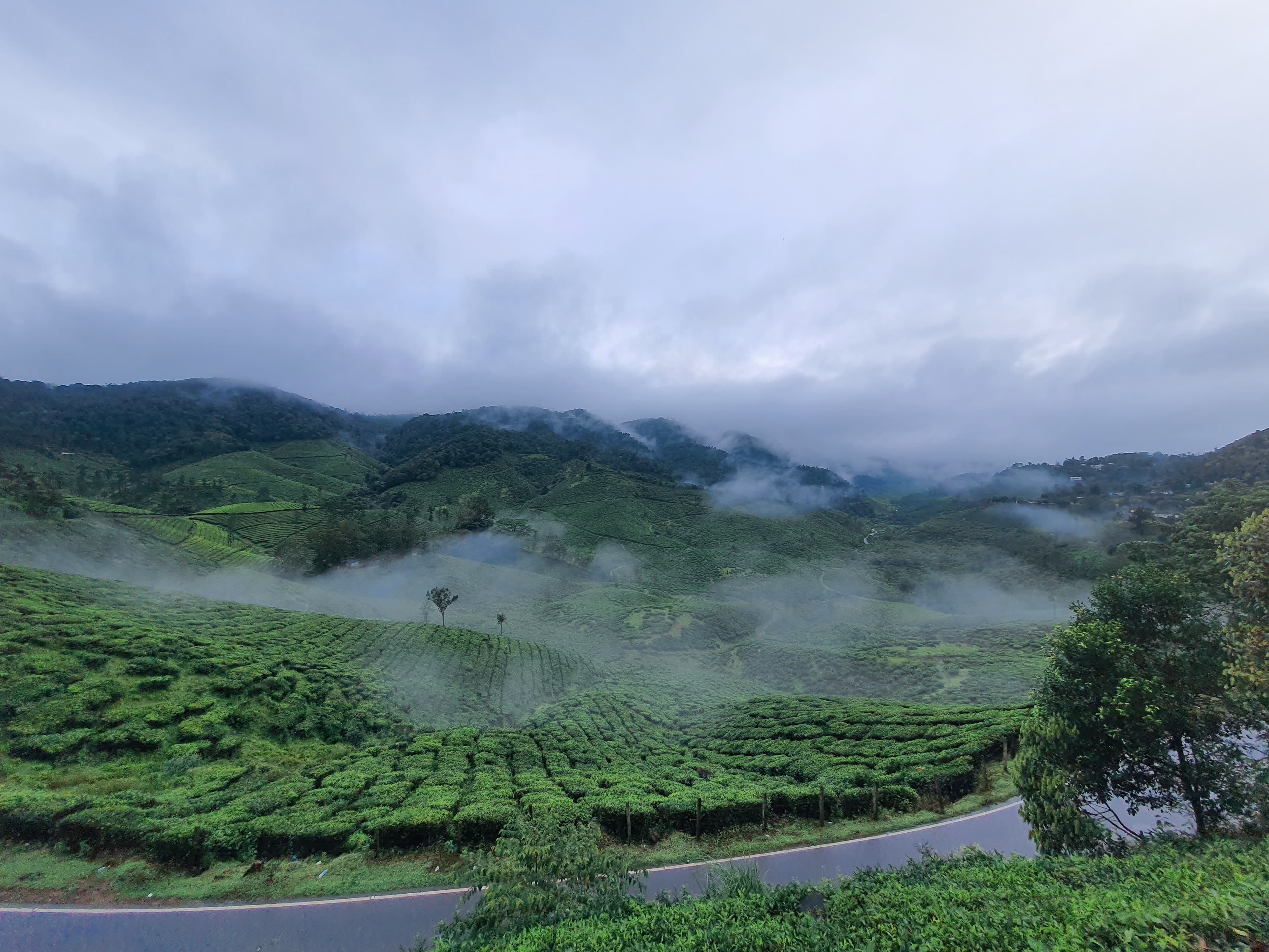 CARDAMOM ROCK RESORTS 𝗕𝗢𝗢𝗞 Vagamon Homestay