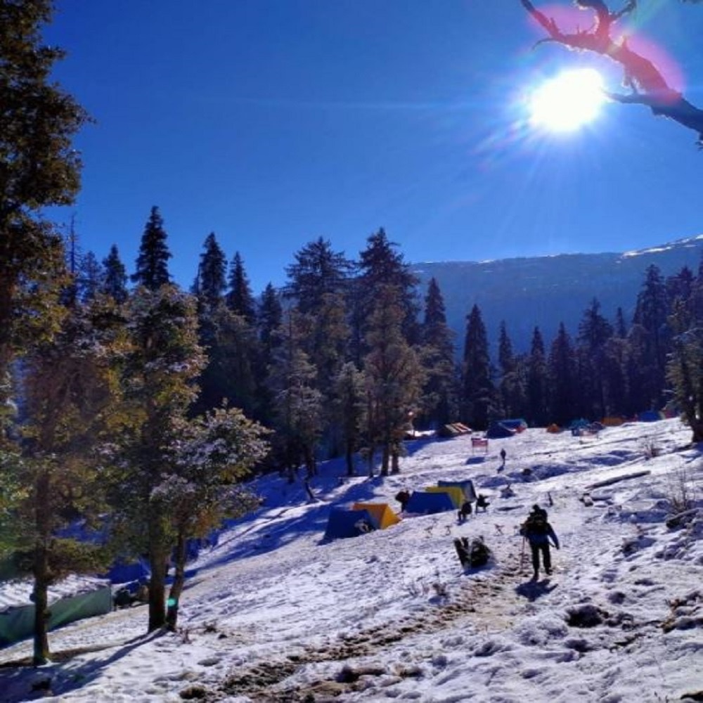 Reviews of Kedarkantha Trek - Camp in Mori