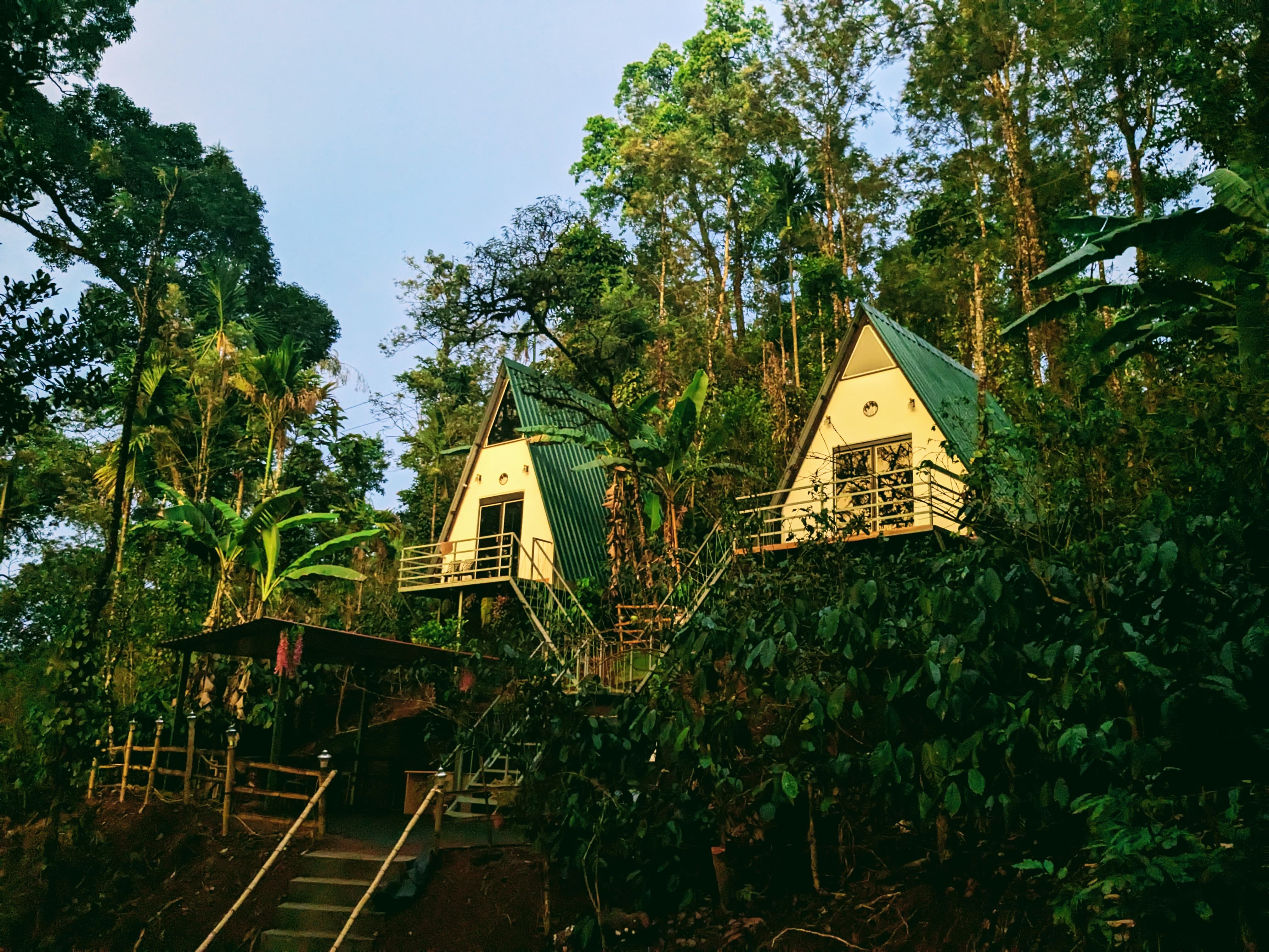 Coorgology - The estate Villa, Coorg 𝗕𝗢𝗢𝗞 Coorg Villa