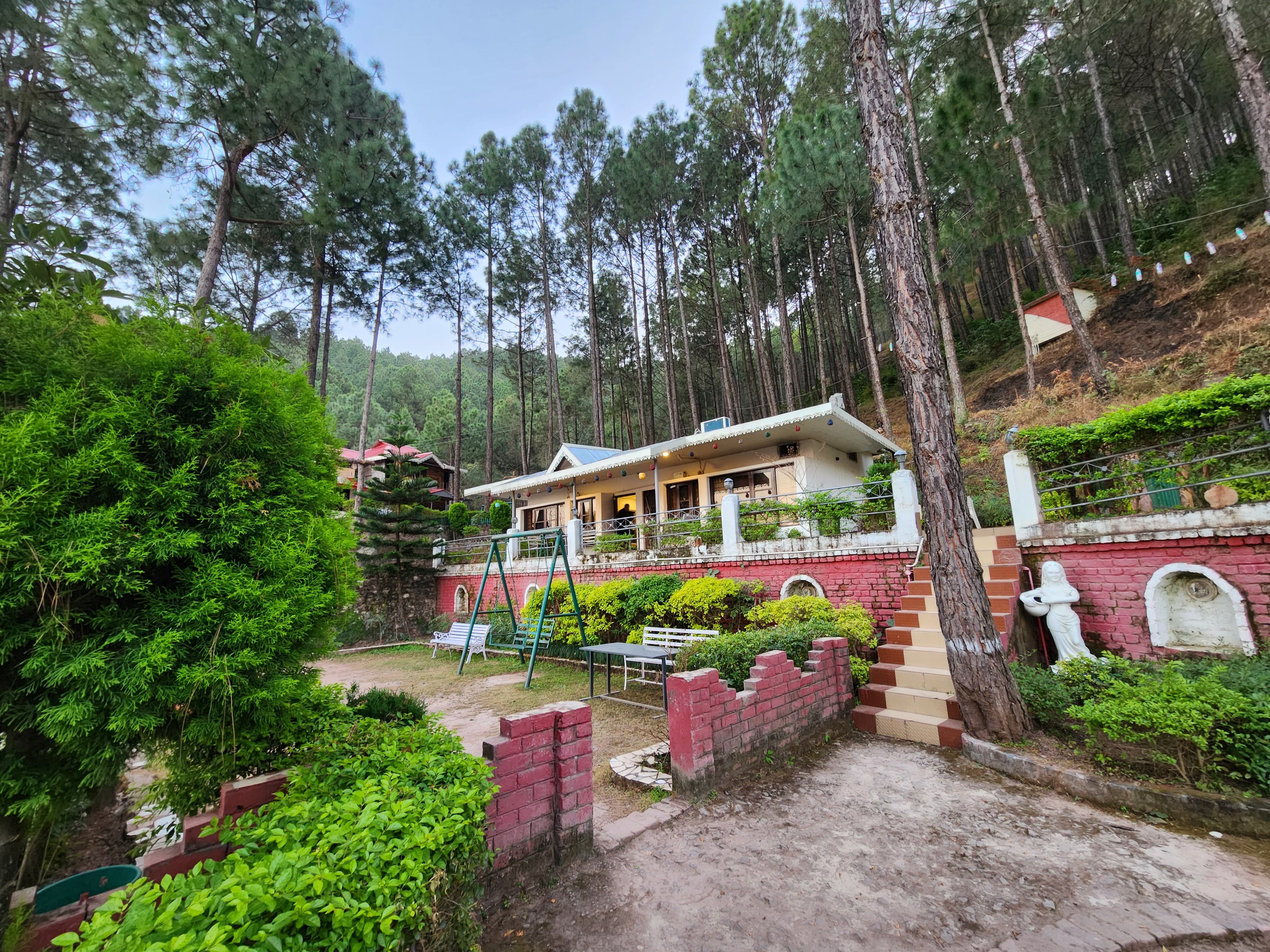 Pine Valley Resort | Rooms & Restaurant Kasauli - Reviews, Photos & Offer