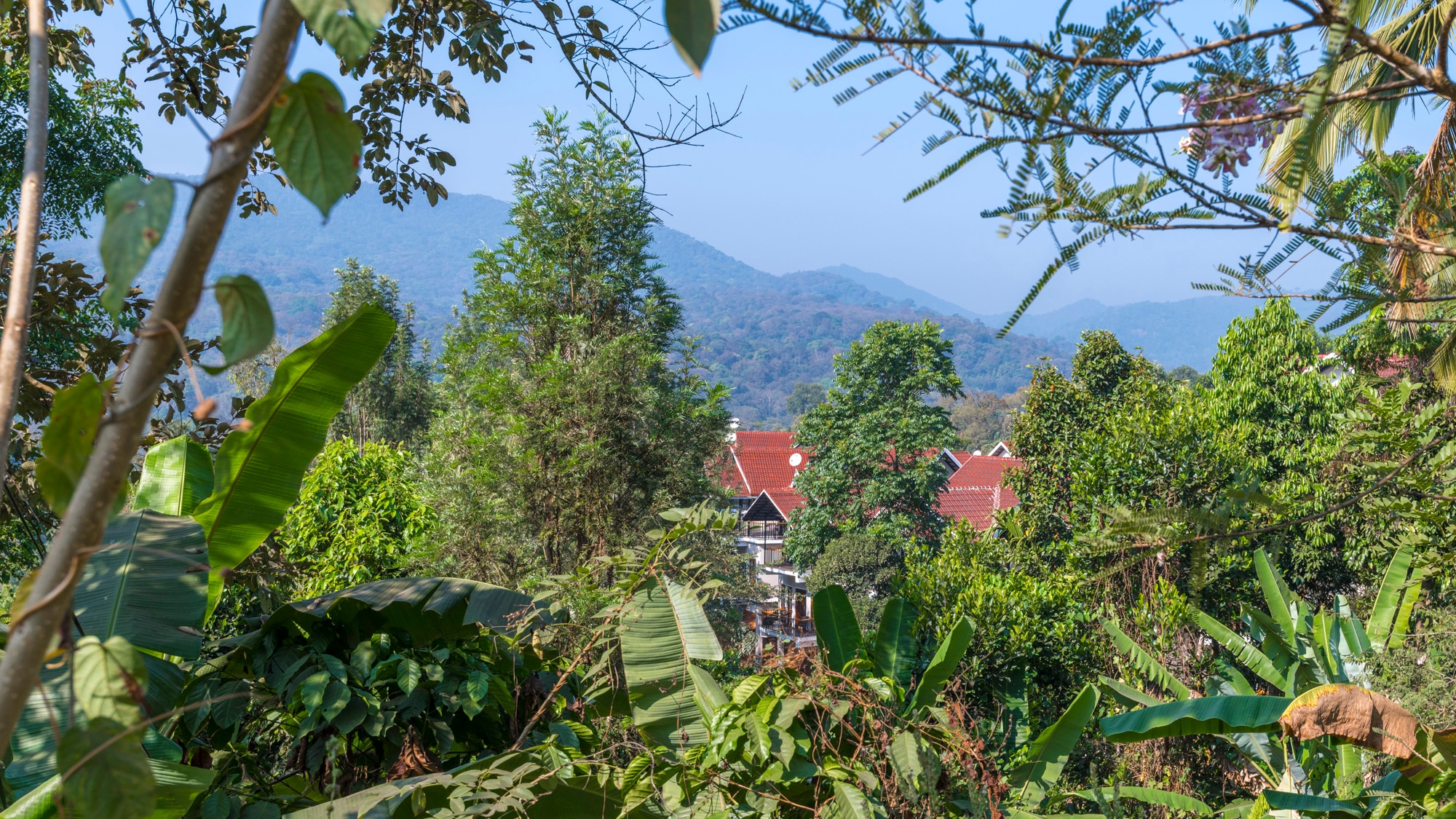 Photos of Mayookham Resort - Resort in Wayanad