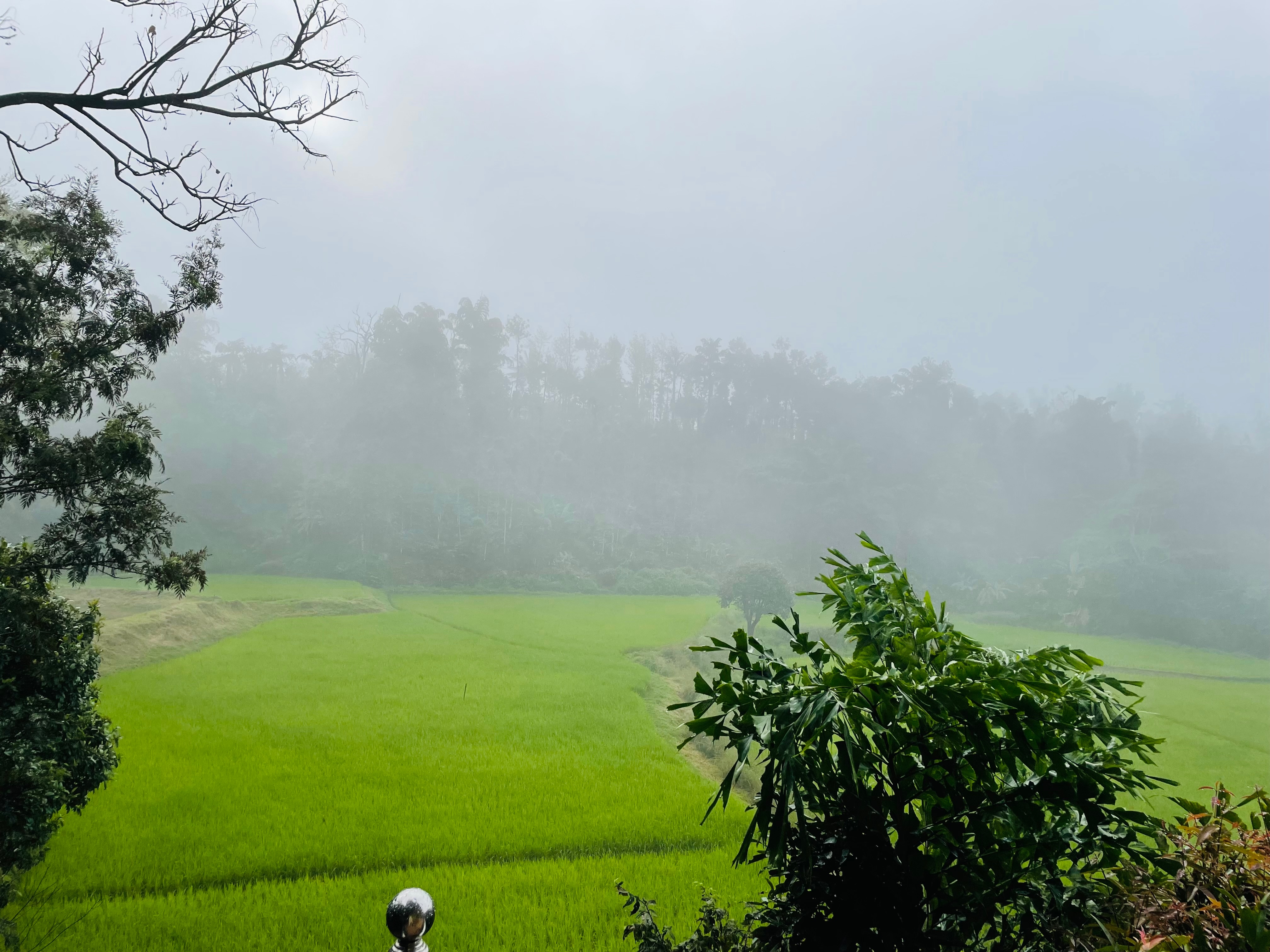 Suprabha holiday home Coorg - Reviews, Photos & Offer