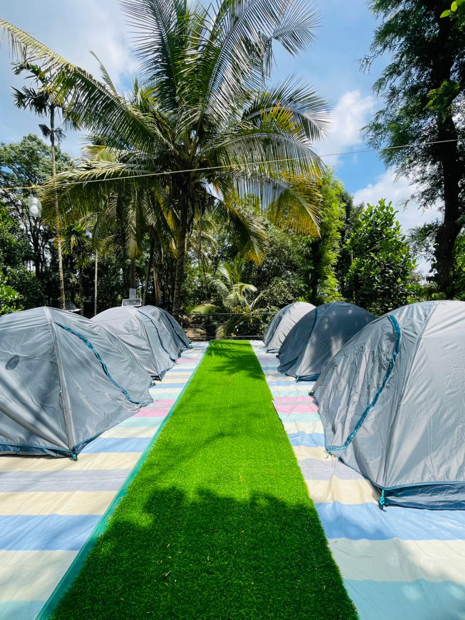 EarthWise Tent camping 𝗕𝗢𝗢𝗞 Wayanad Camp