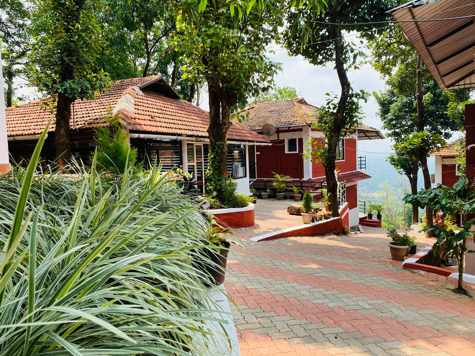 Coorg Heights Resort Coorg - Reviews, Photos & Offer