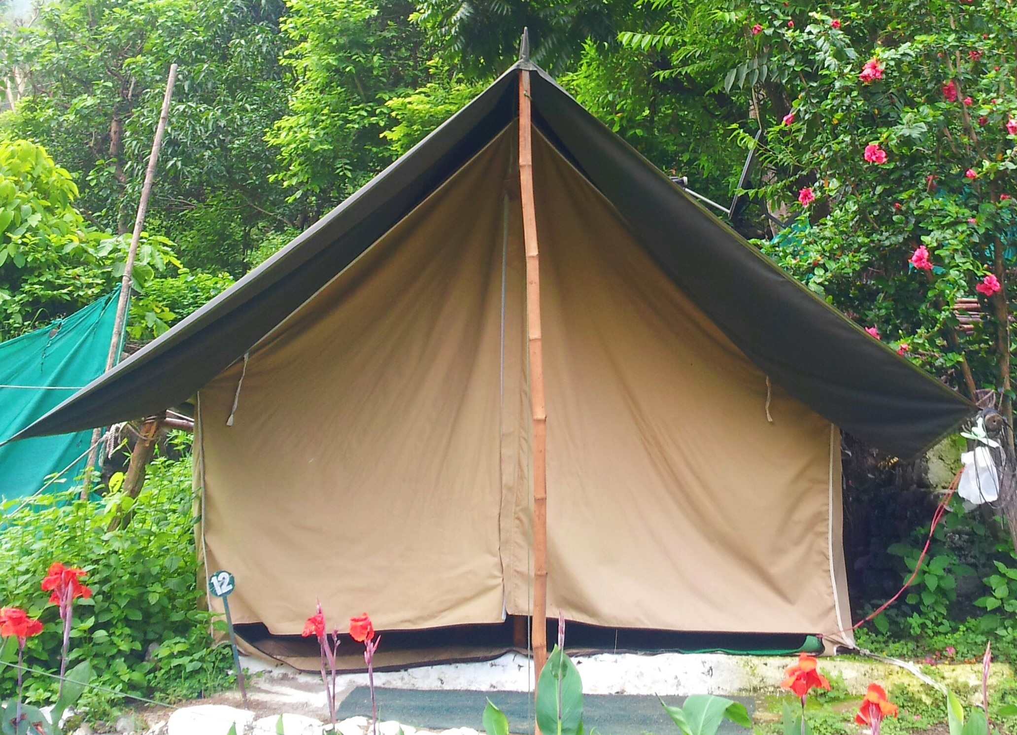 Amenities of Camp Wildex Rishikesh