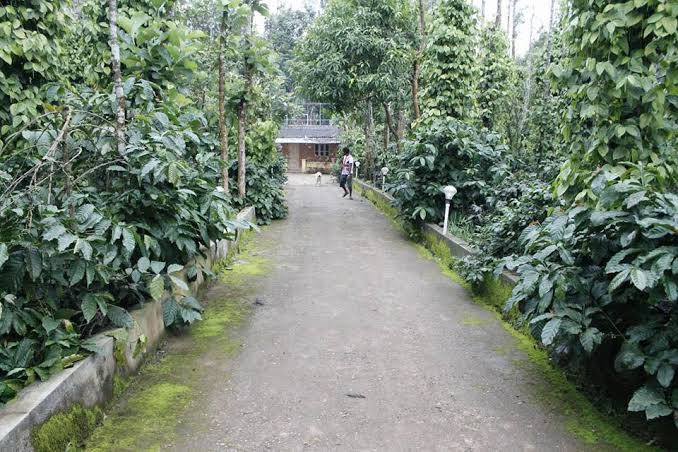 Atik home stay 𝗕𝗢𝗢𝗞 Hajo Homestay