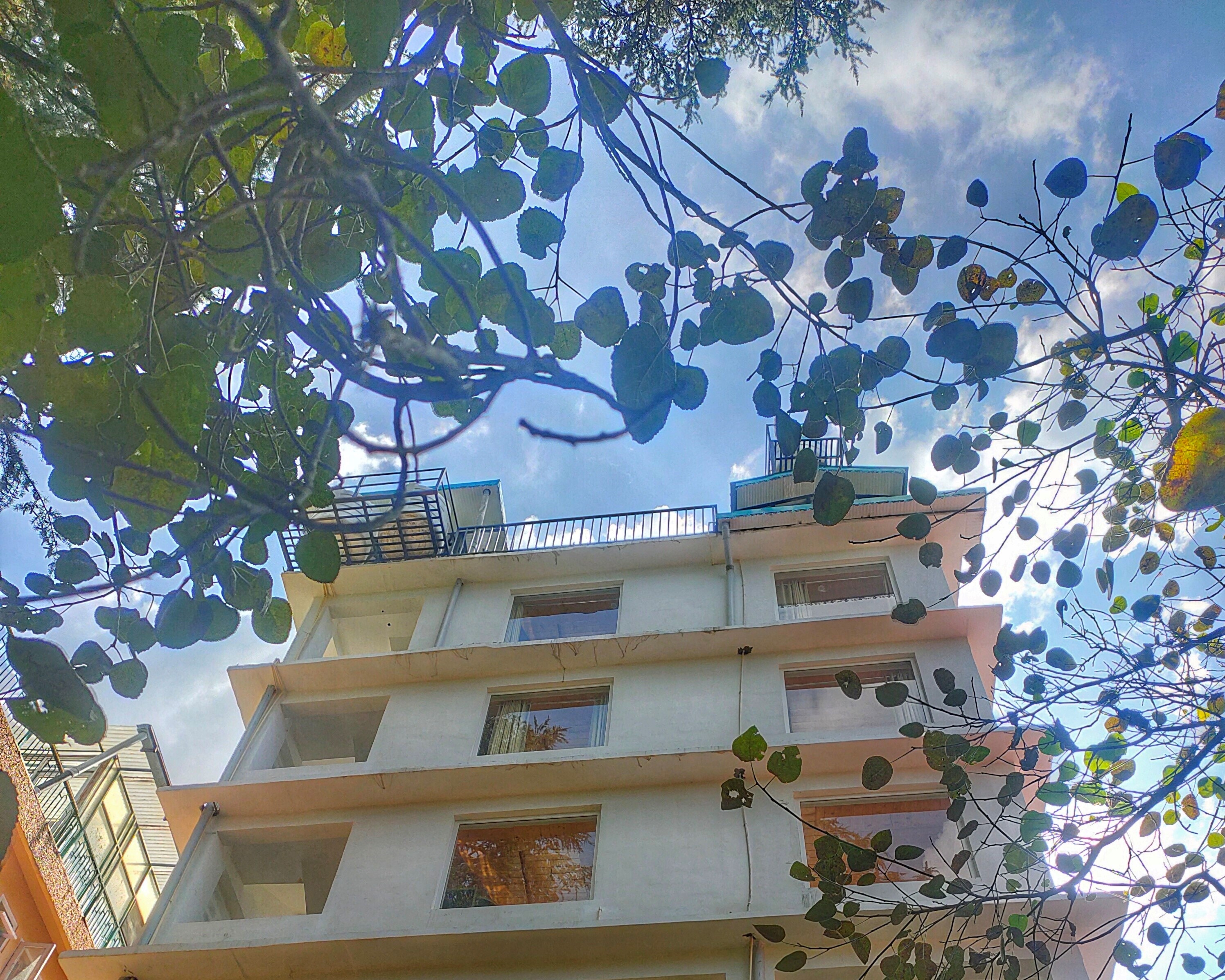 Stonewood 𝗕𝗢𝗢𝗞 Shimla Homestay