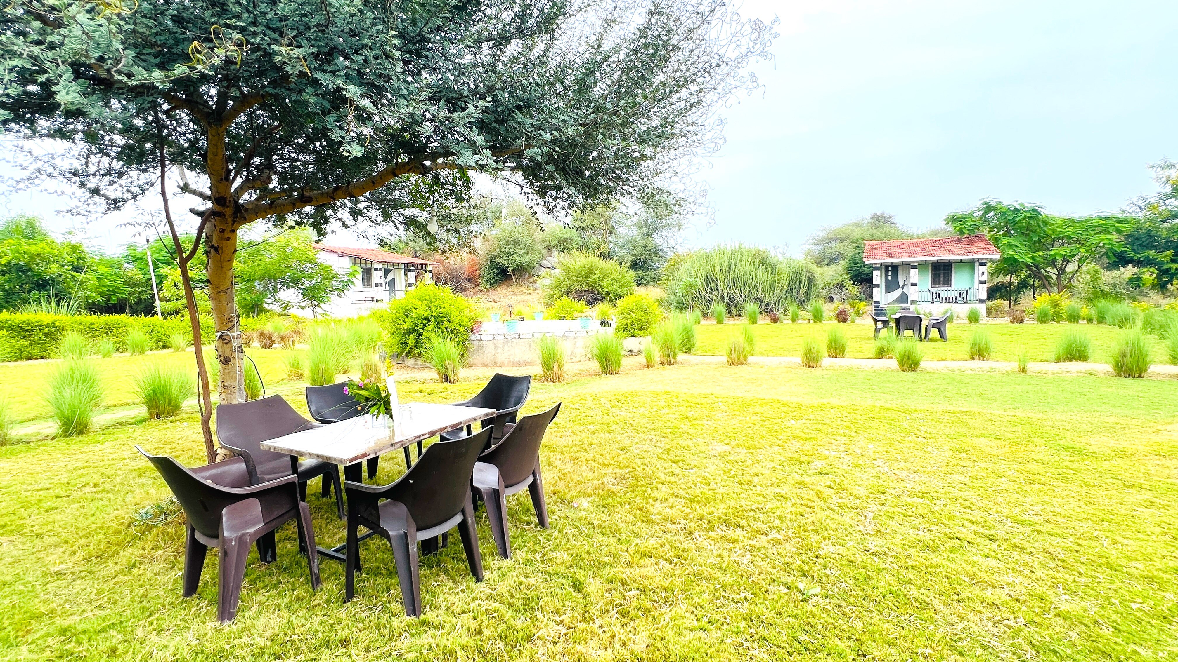 Jawai Safari Cottage - A Nature Resort Falna - Reviews, Photos & Offer