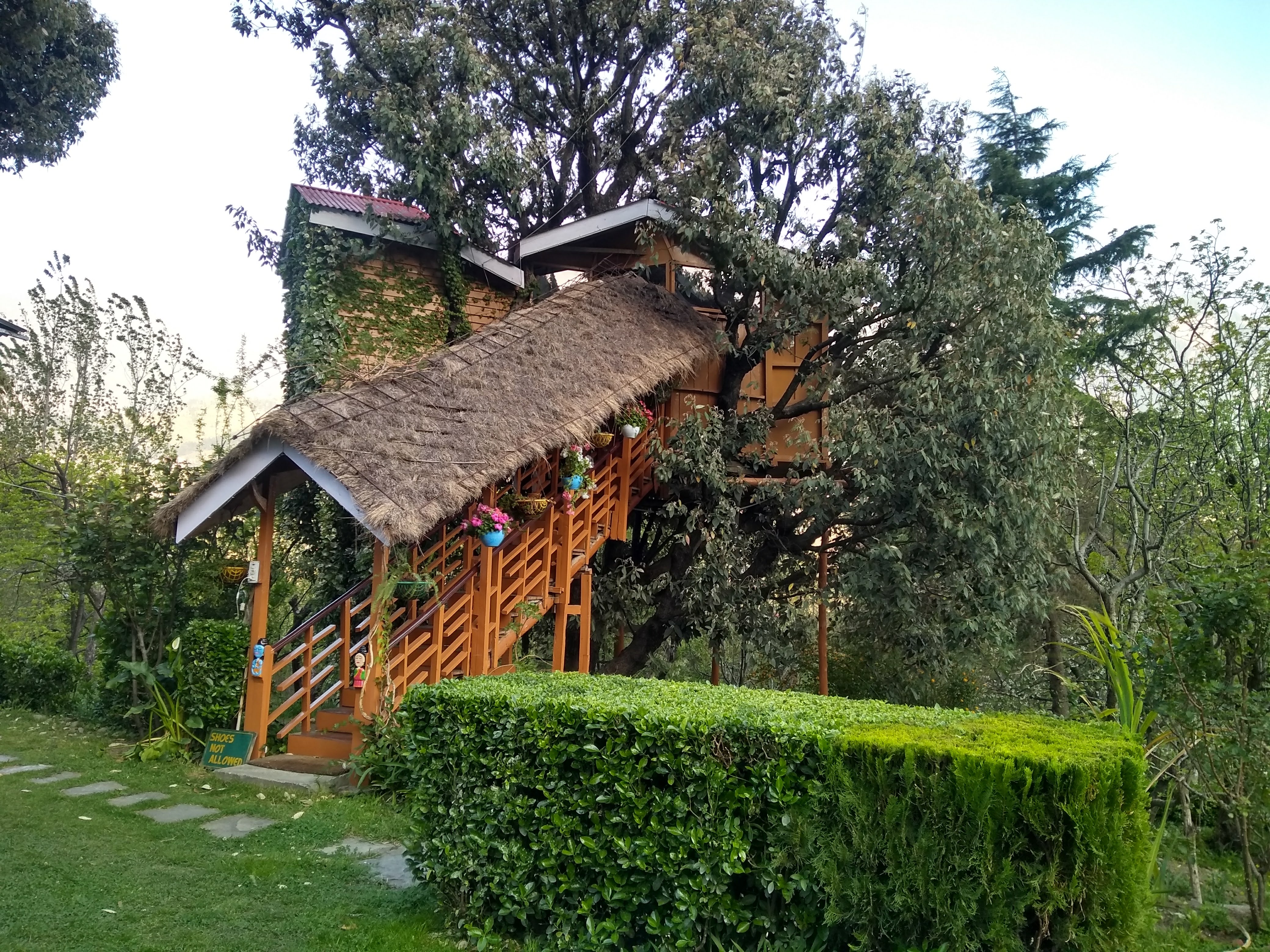 Tree House Cottages | Rooms & Caretaker 𝗕𝗢𝗢𝗞 Manali Cottage