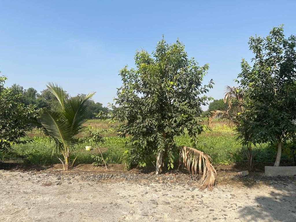 VR FARM Stay Chevella Farm House Chevella - Reviews, Photos & Offer