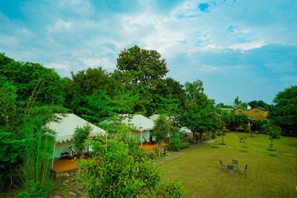 Ranthambhore Bagh Dwar Camp | Tents & Rooms 𝗕𝗢𝗢𝗞 Sawai Madhopur Farm House