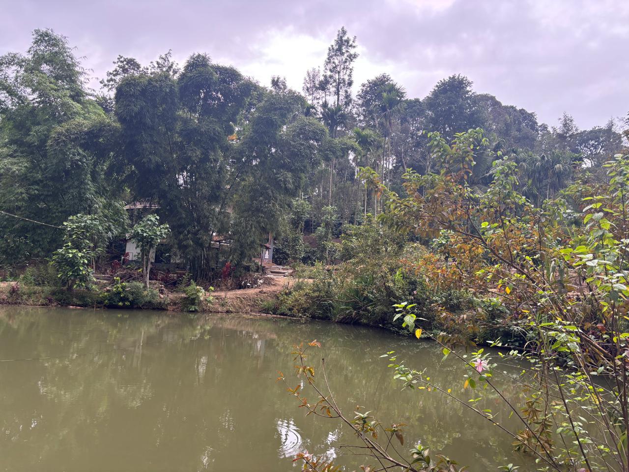 Lake View Cottage 𝗕𝗢𝗢𝗞 Coorg Homestay