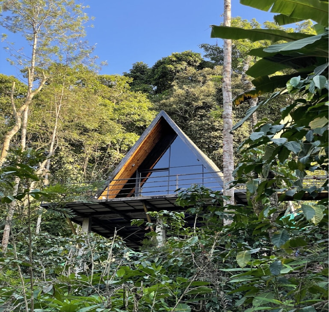 Birds Eye A Frame, Unique Stay Homestay Chikmagalur - Reviews, Photos ...