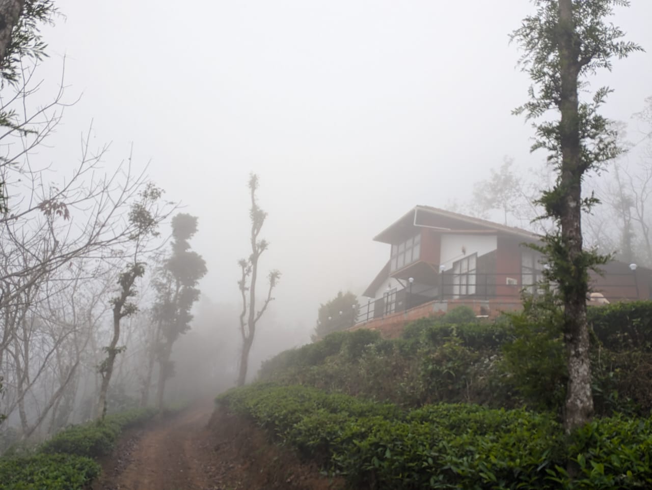 Mount heaven homespace 𝗕𝗢𝗢𝗞 Wayanad Homestay