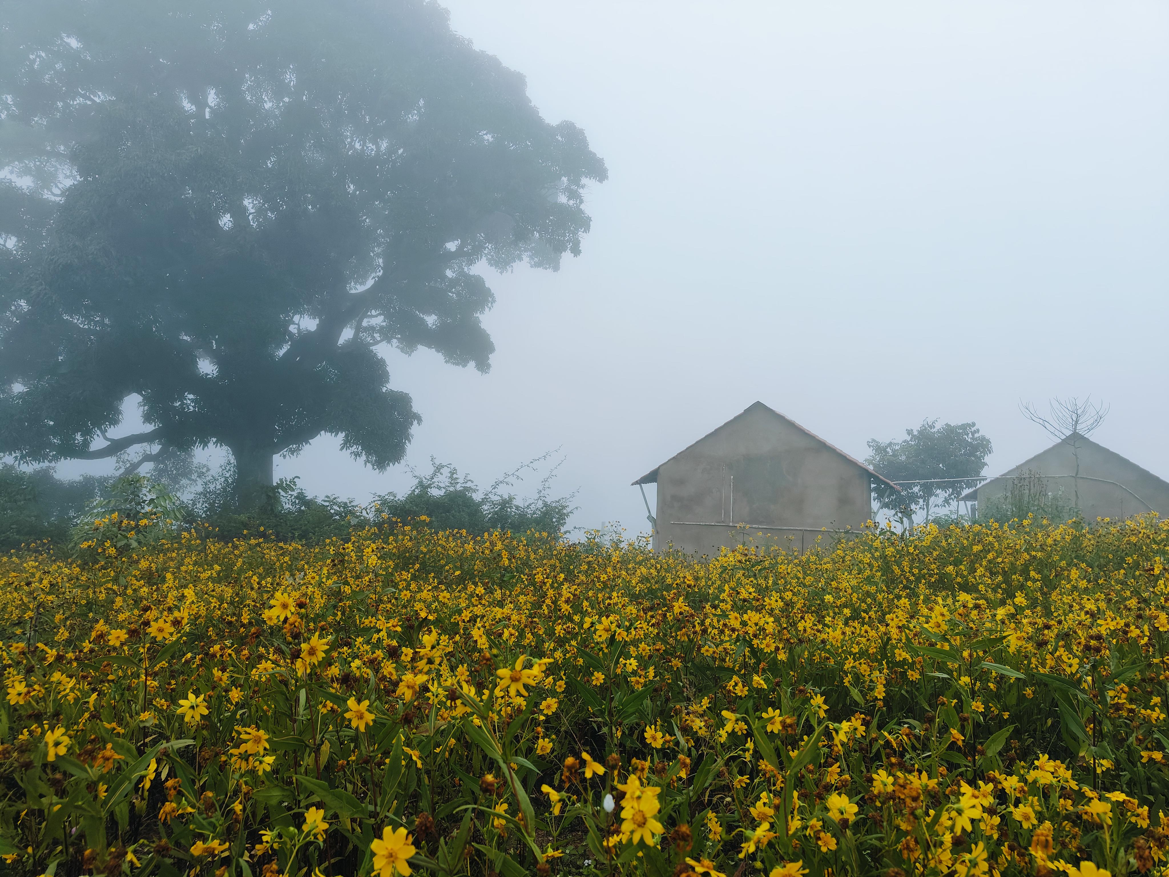 LAMBASINGI RAVI RESORT Chintapalle - Reviews, Photos & Offer