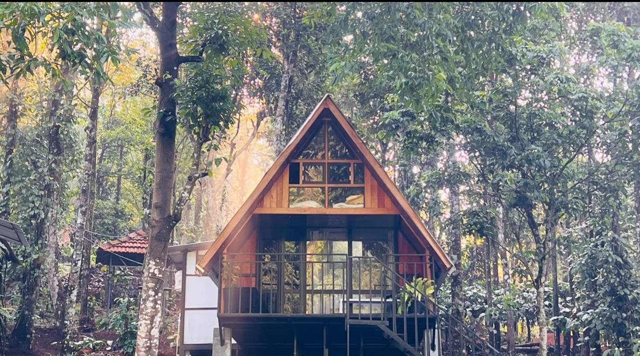 Fern Valley forest stream view cottage Wayanad - Reviews, Photos & Offer