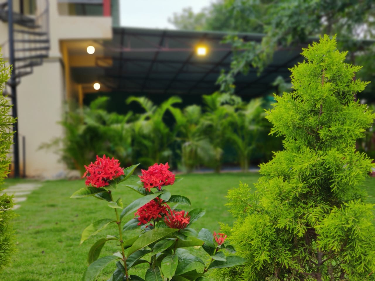 Amenities of Jasmine Farm Stay