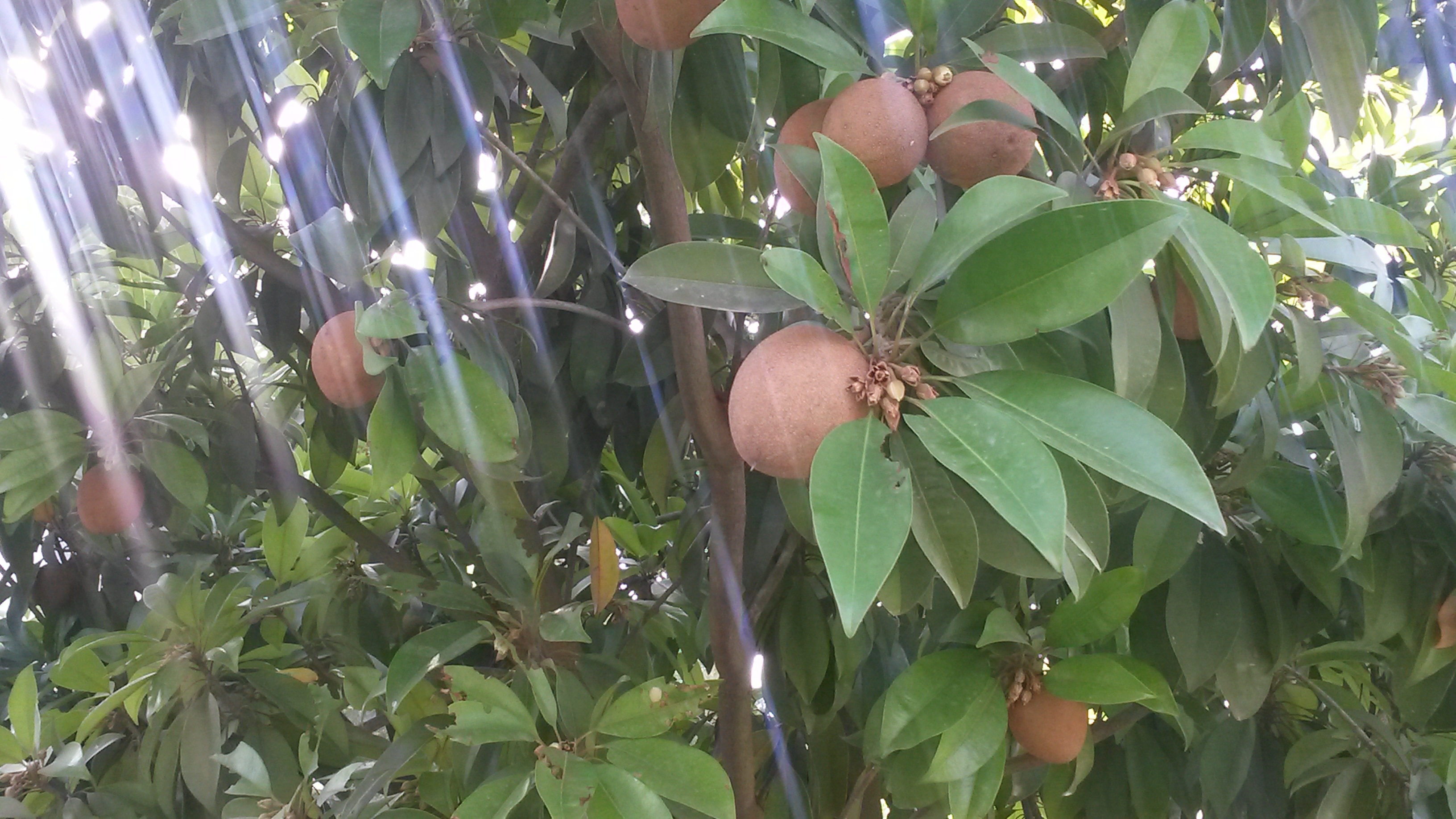 Rooms of Master Farm Resort - Resort in Rajpura