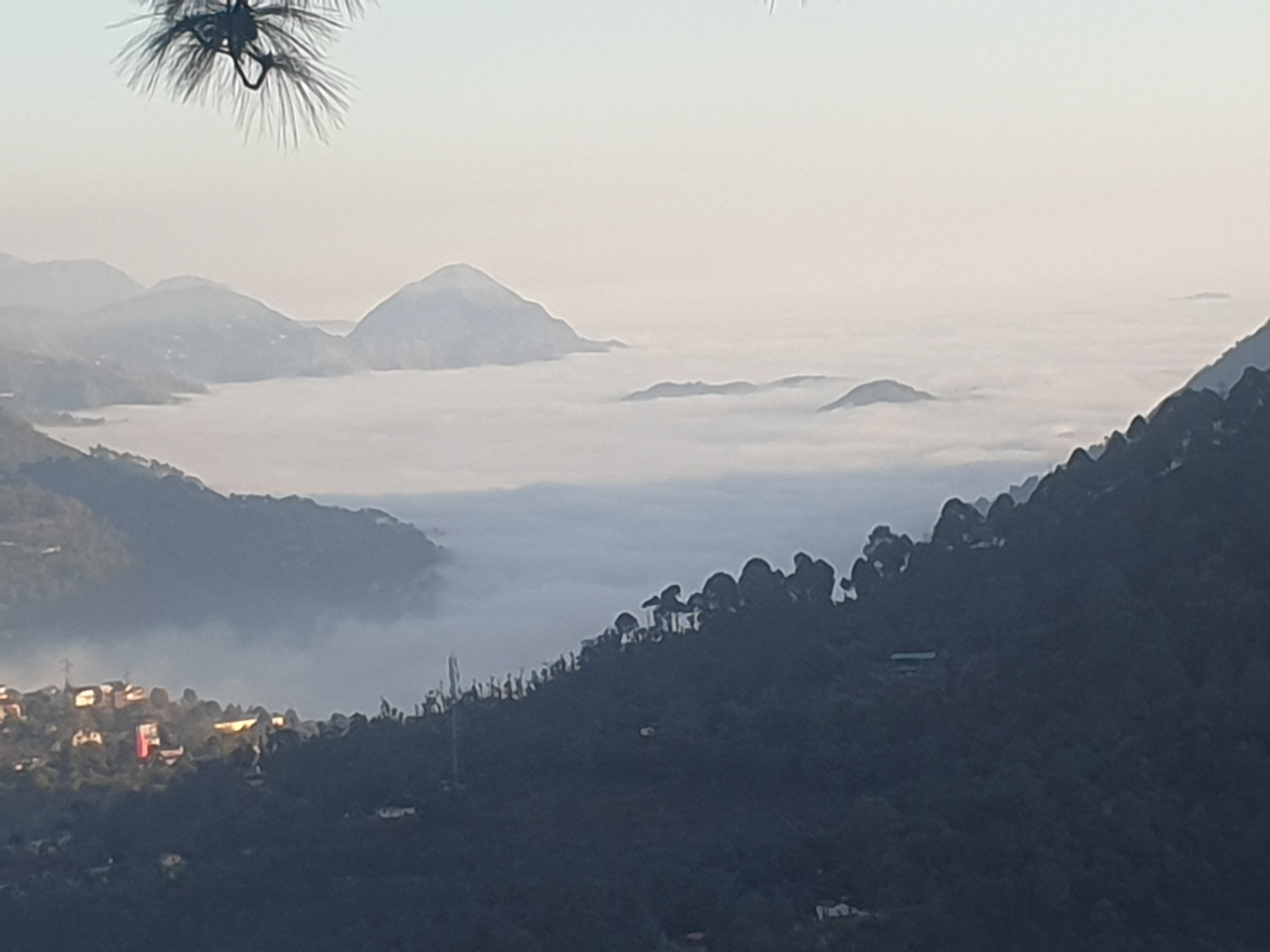 Blue bell cabins 𝗕𝗢𝗢𝗞 Bhowali Homestay