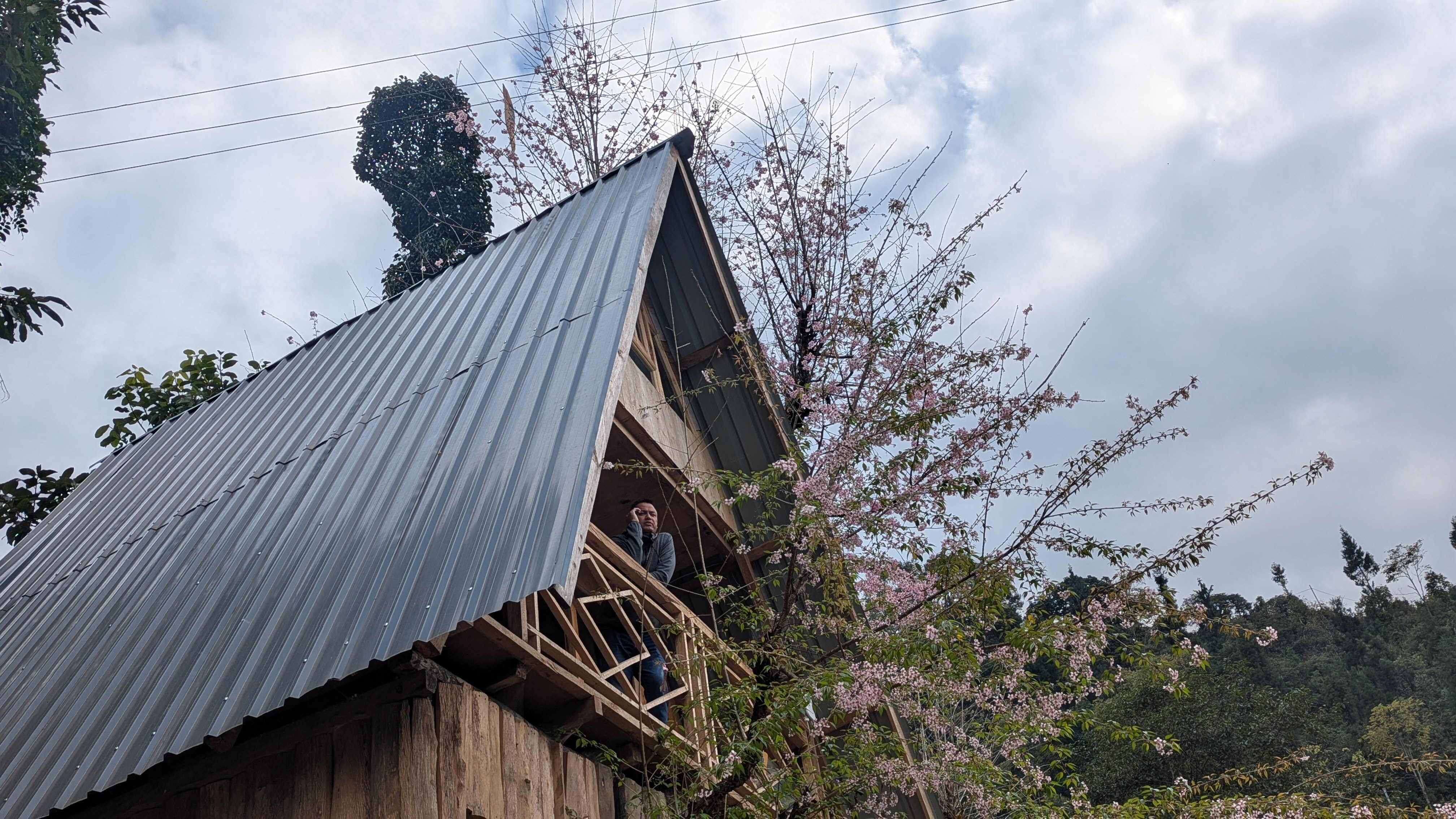 Mochileros Cherry Tree House 𝗕𝗢𝗢𝗞 Pelling Tree house