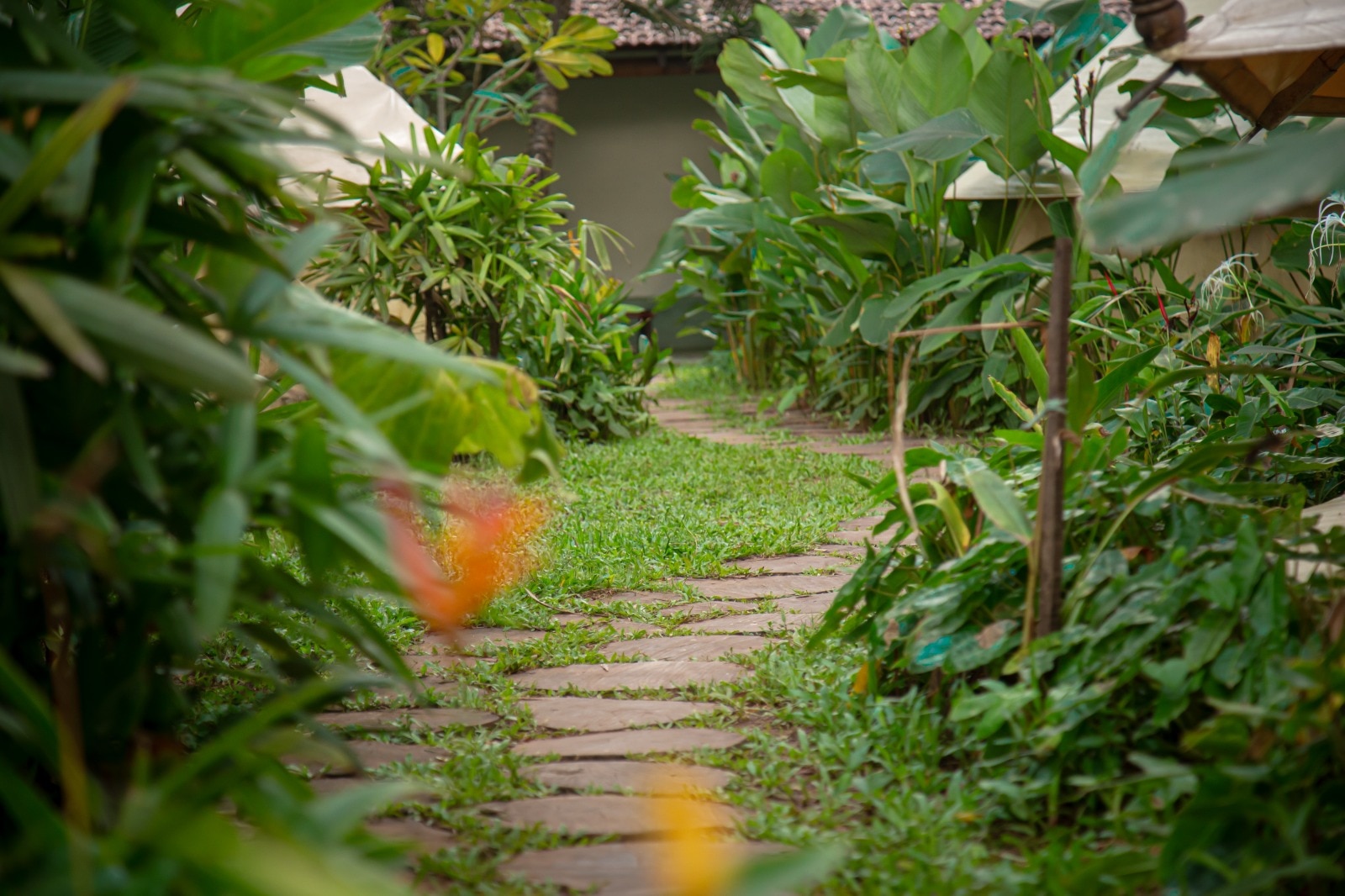 Virama Gokarna Homestay Gokarna - Reviews, Photos & Offer